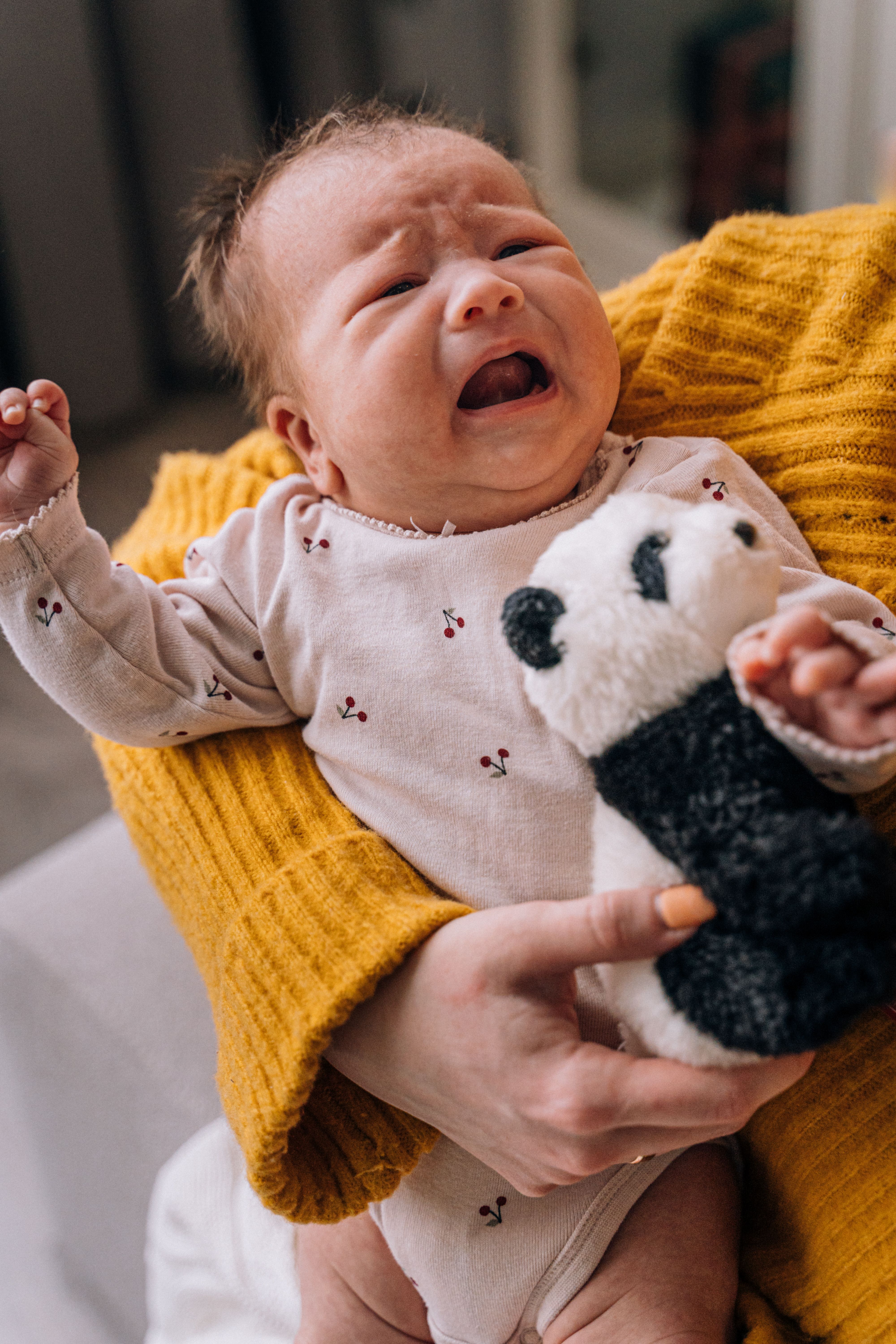 A Person Carrying a Crying Baby · Free Stock Photo