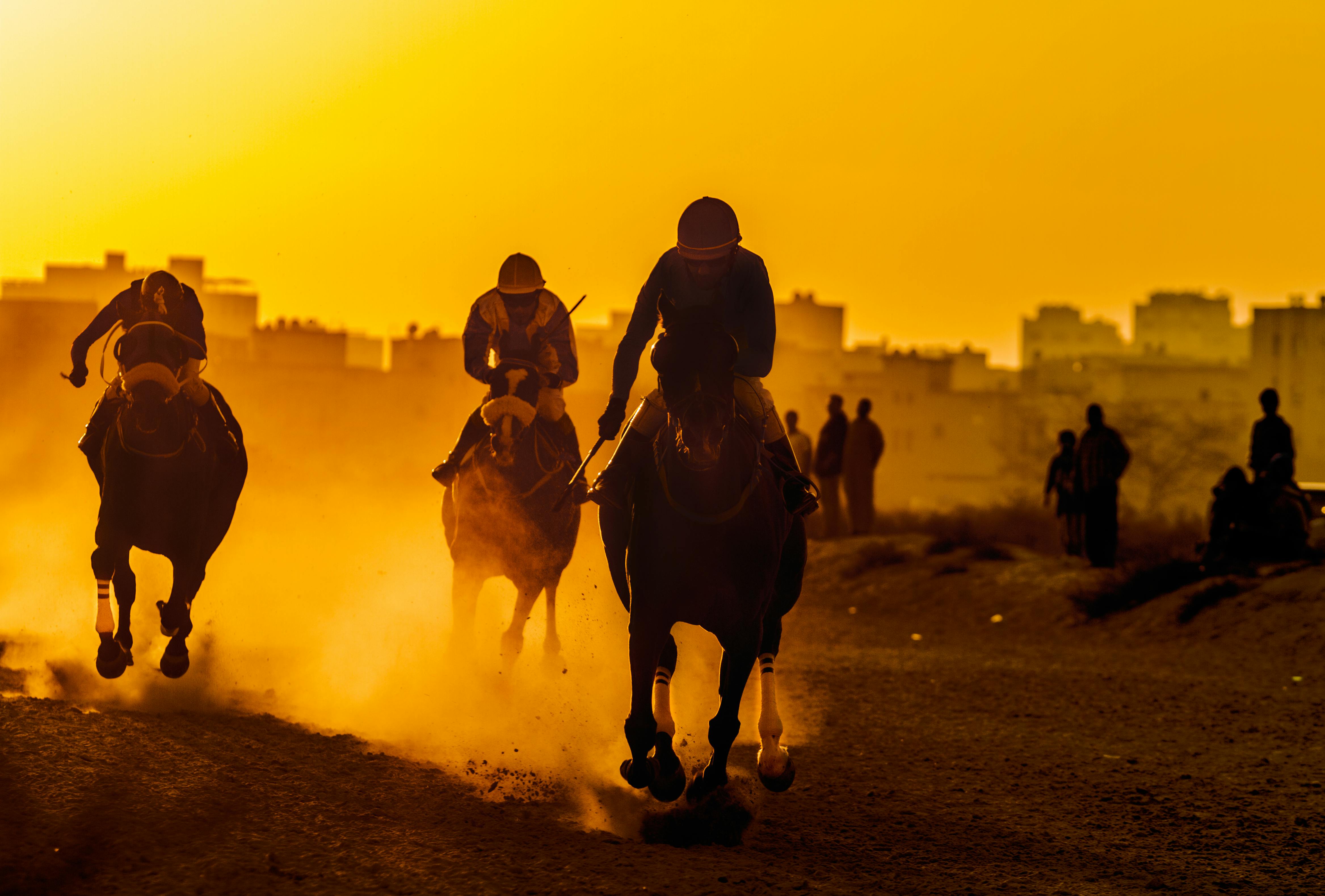 Horse Race at Sunset · Free Stock Photo