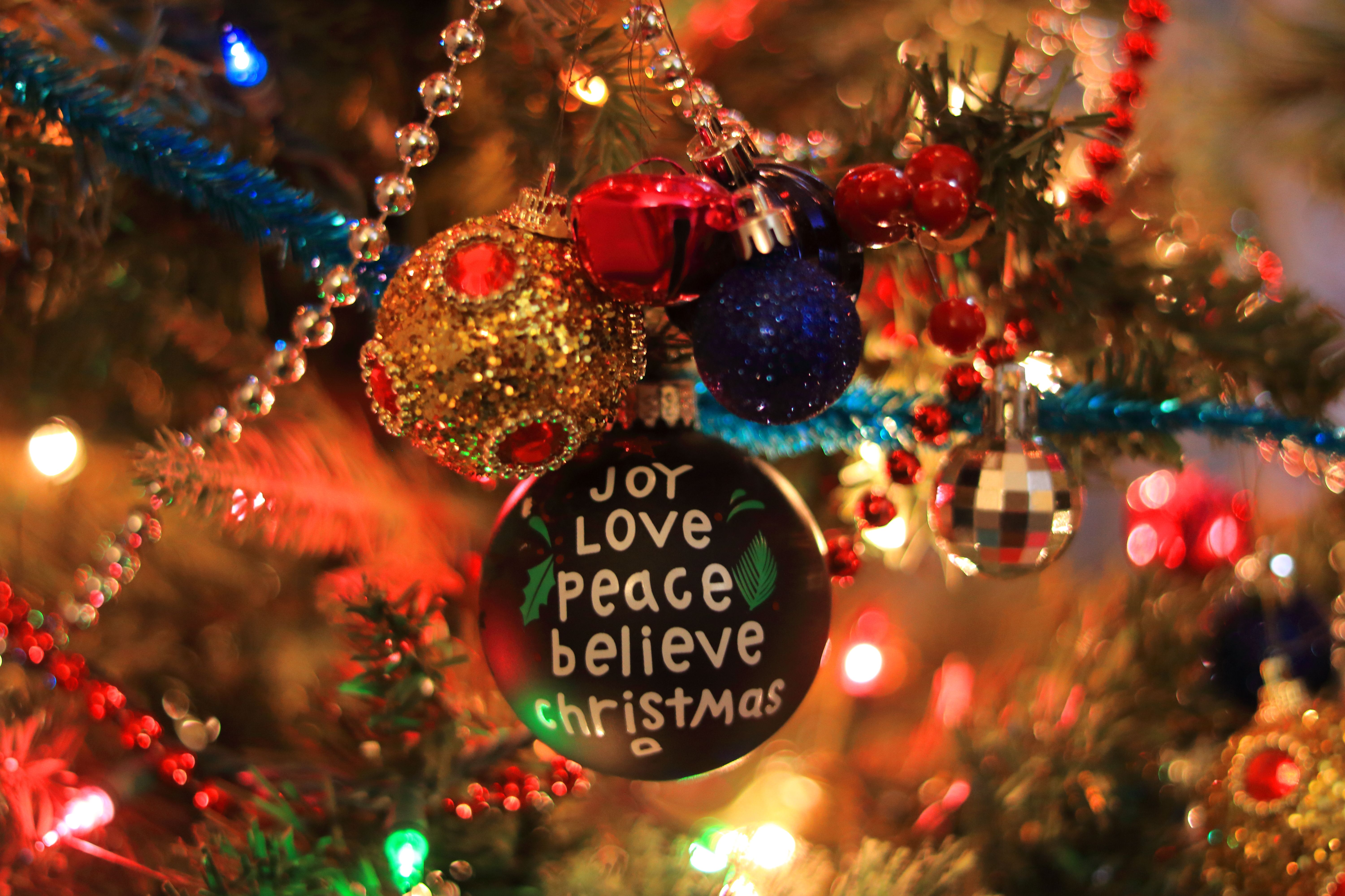 Colorful Christmas Decors on a Tree · Free Stock Photo