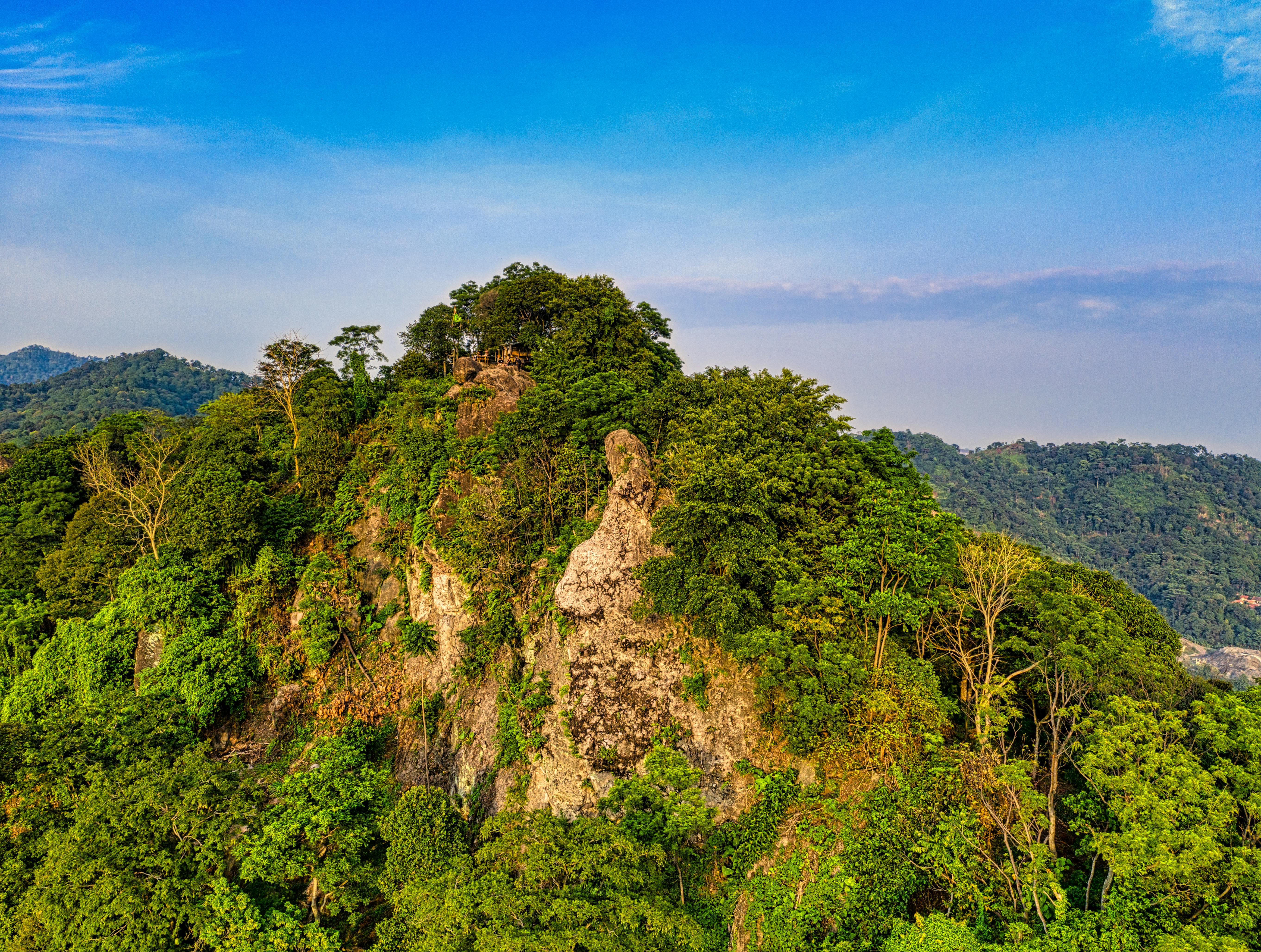 Rocky canyon with evergreen forest against blue sky · Free Stock Photo