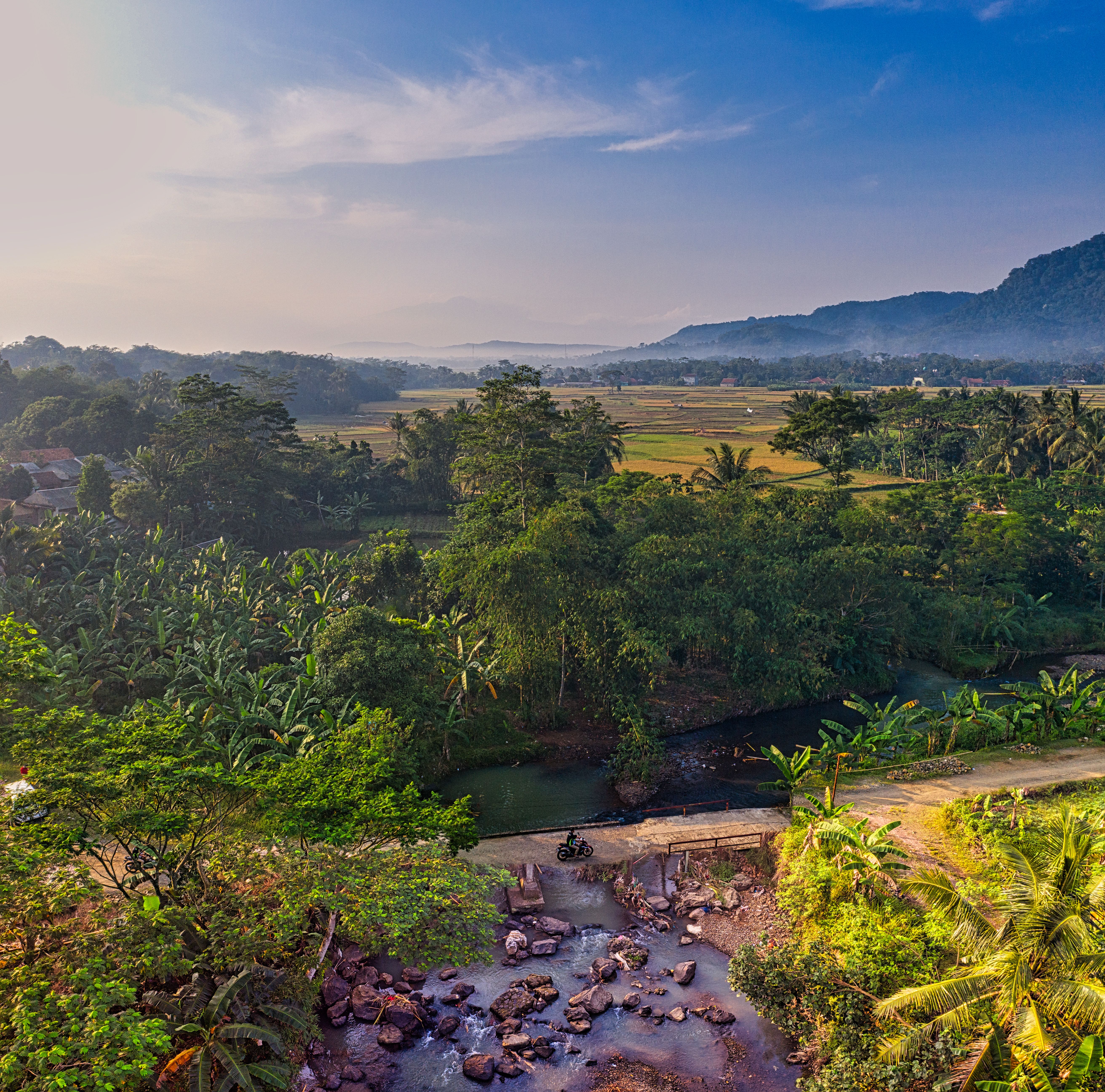 Tropical green plantation with lush trees near mountains at sundown ...
