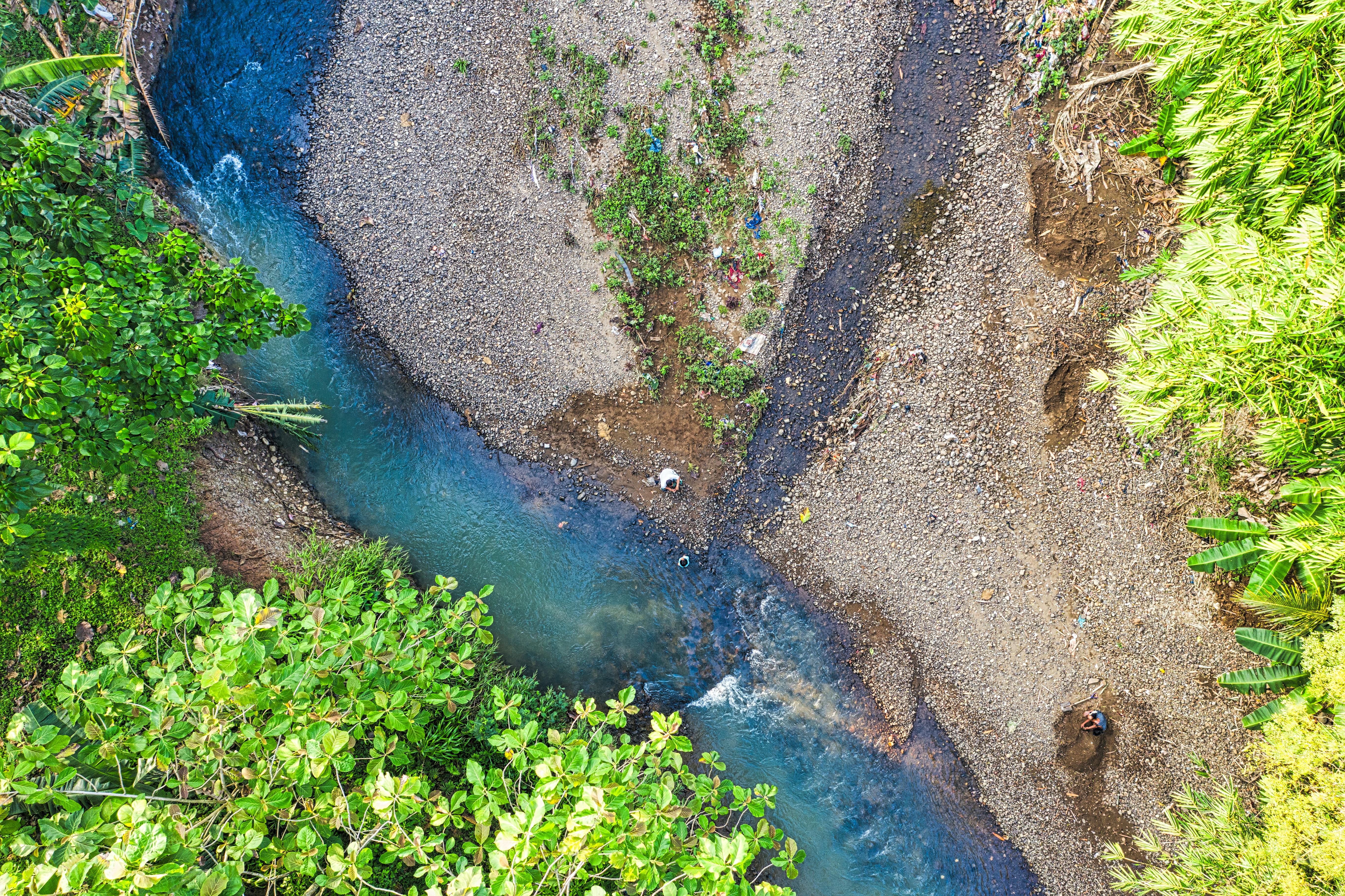 Curvy river flowing through tropical forest in sunlight · Free Stock Photo