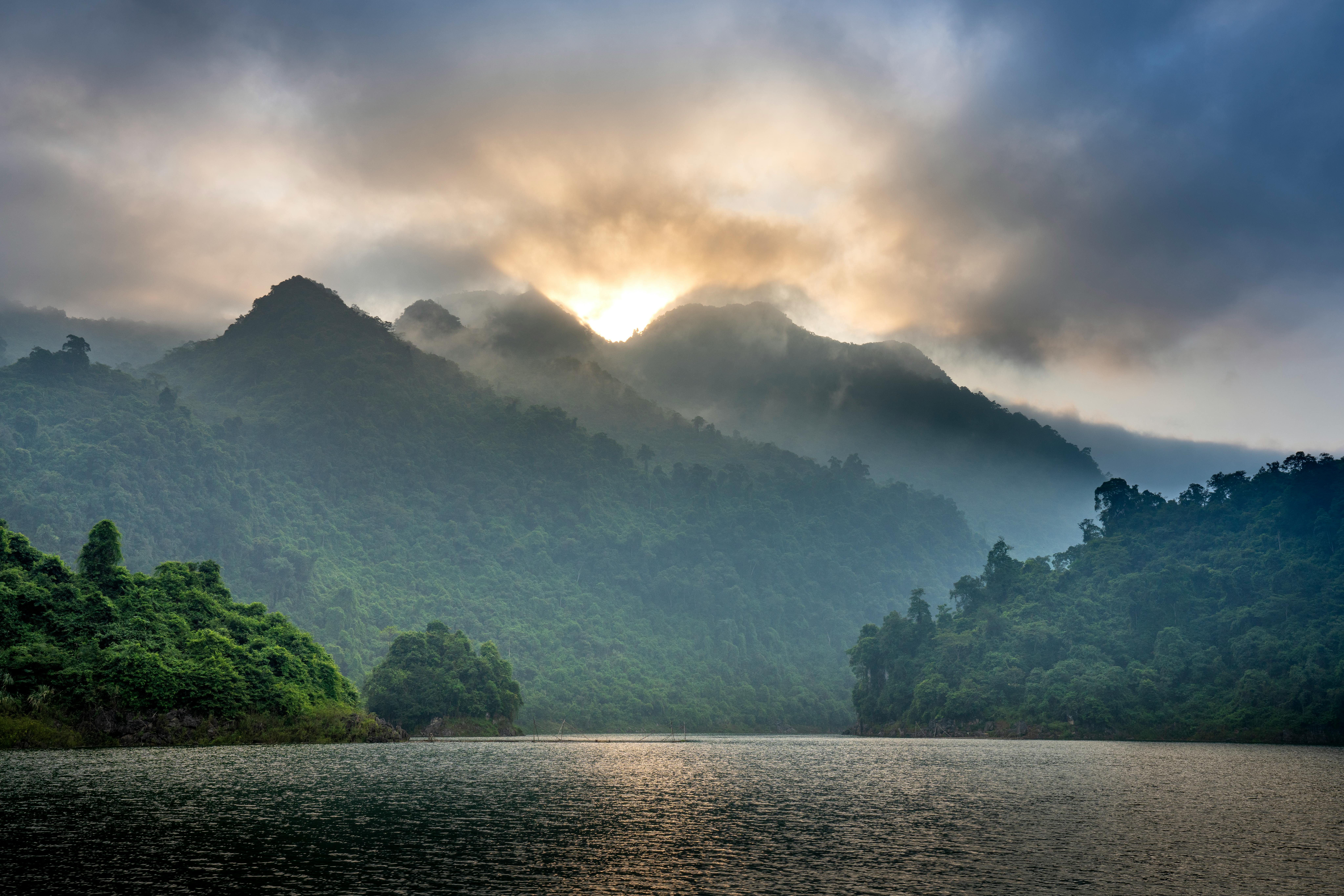 Hilly terrain with green trees · Free Stock Photo