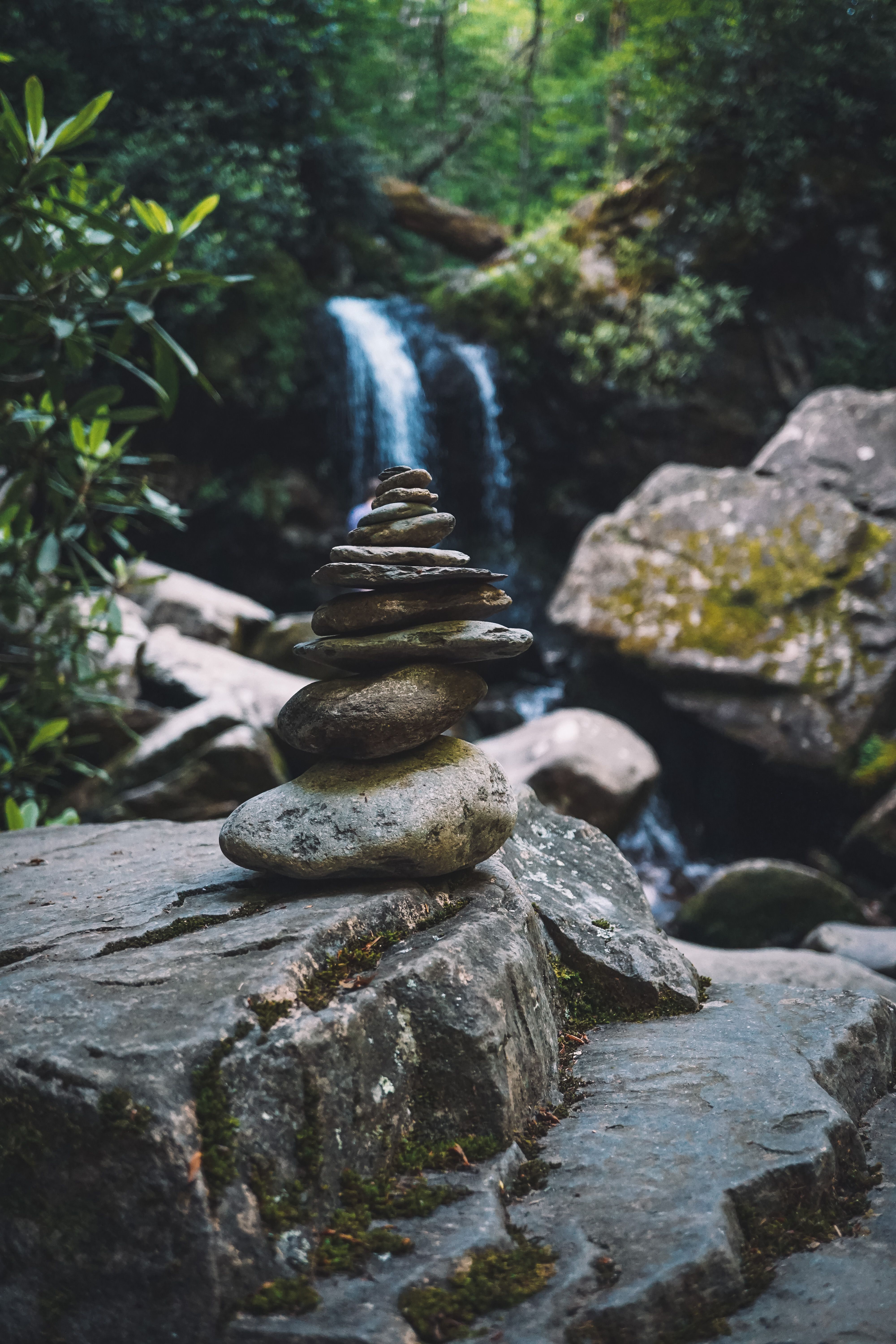 Stack of Rocks in Forest · Free Stock Photo