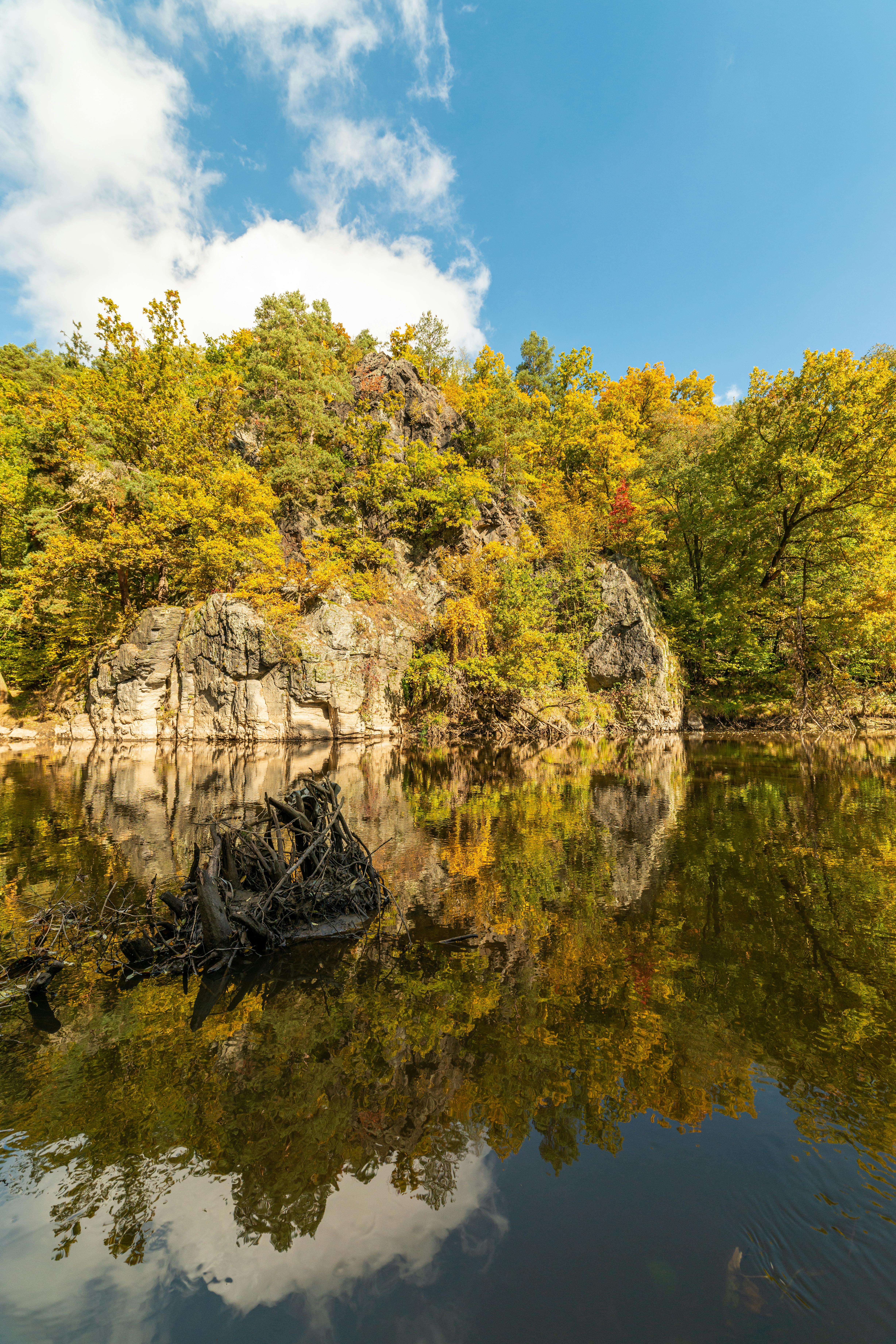 Cliff Covered in Greenery Reflecting in Water · Free Stock Photo