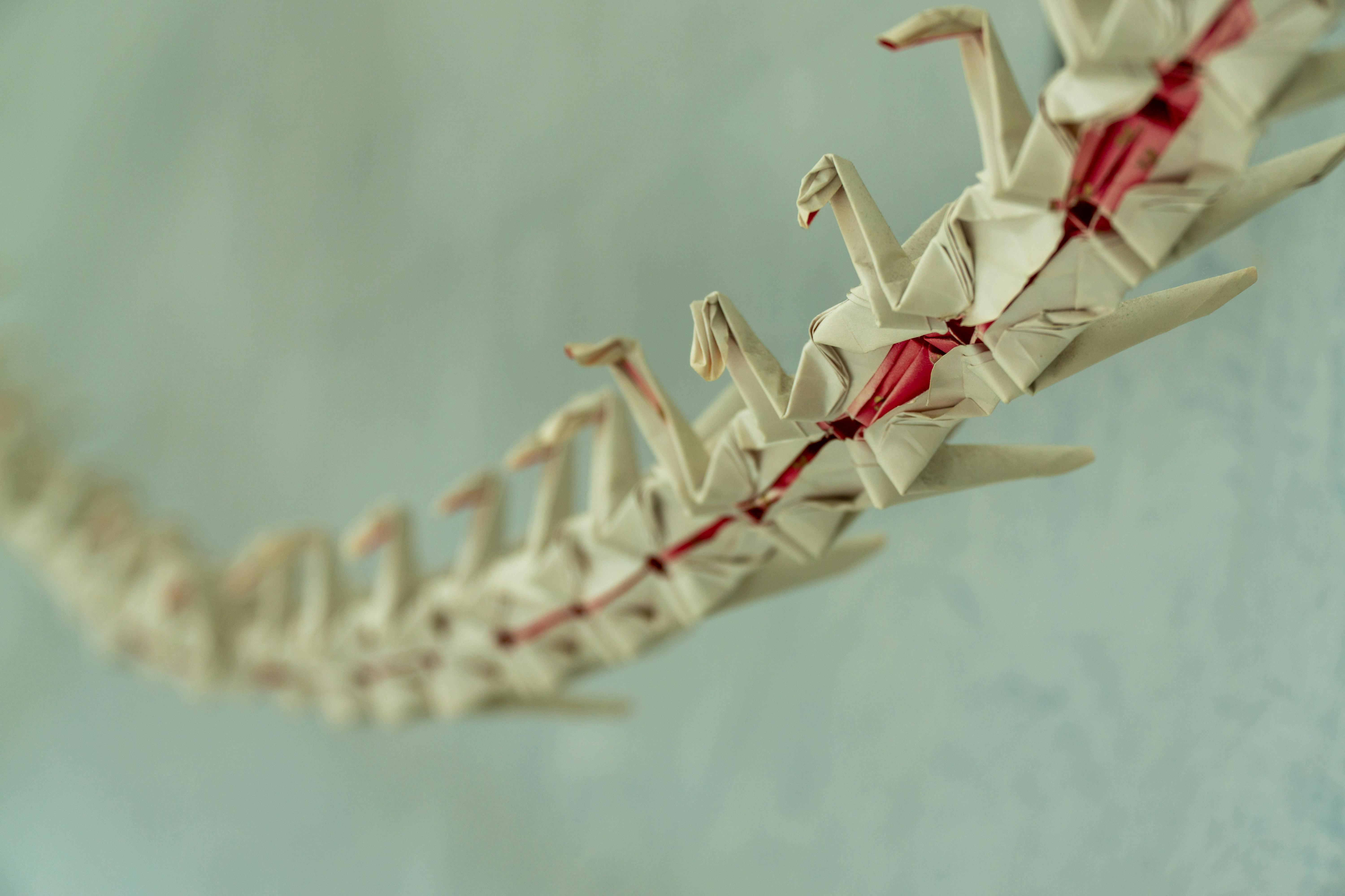 Photo of a Hanging String of Origami · Free Stock Photo