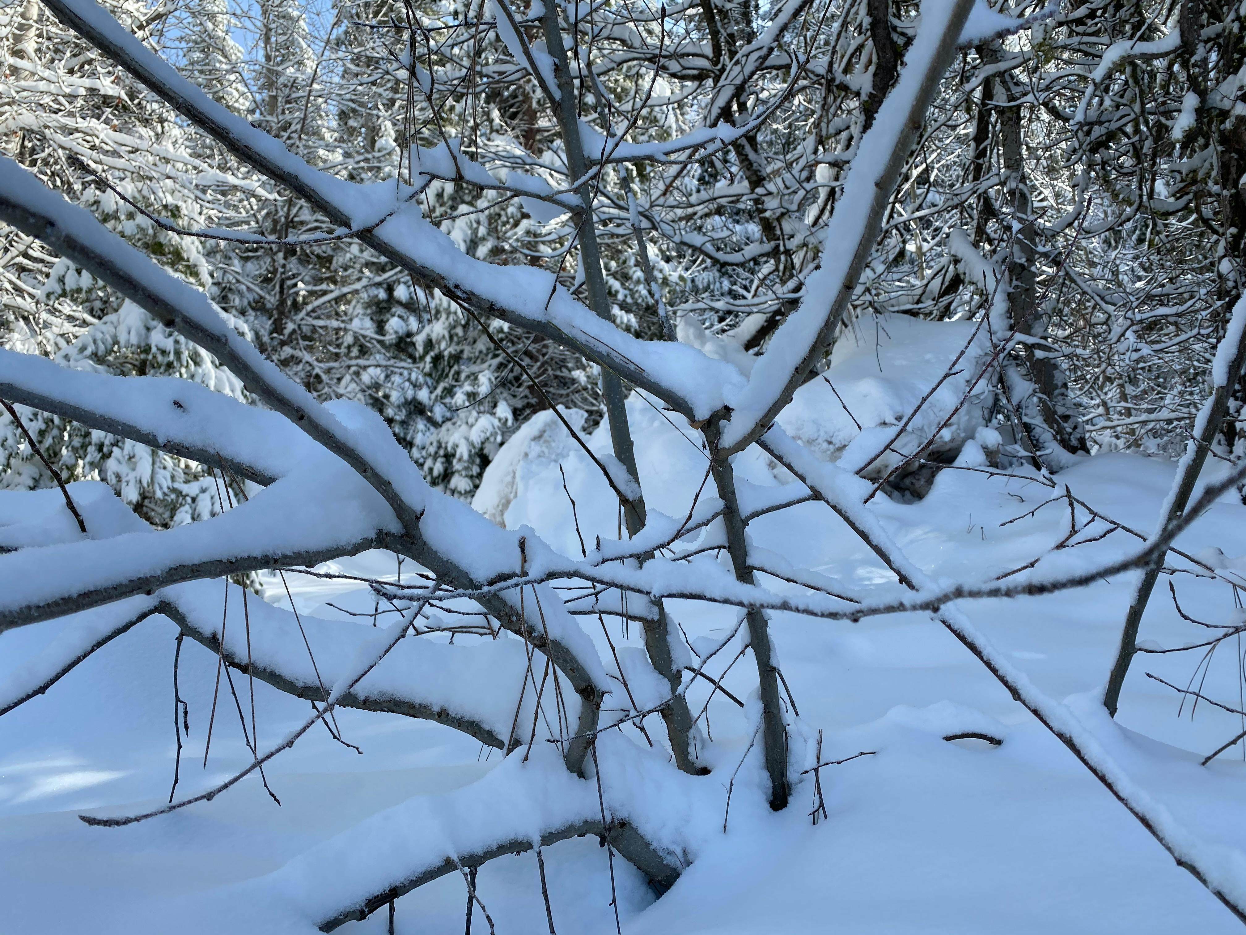 James Herrera - Photographie