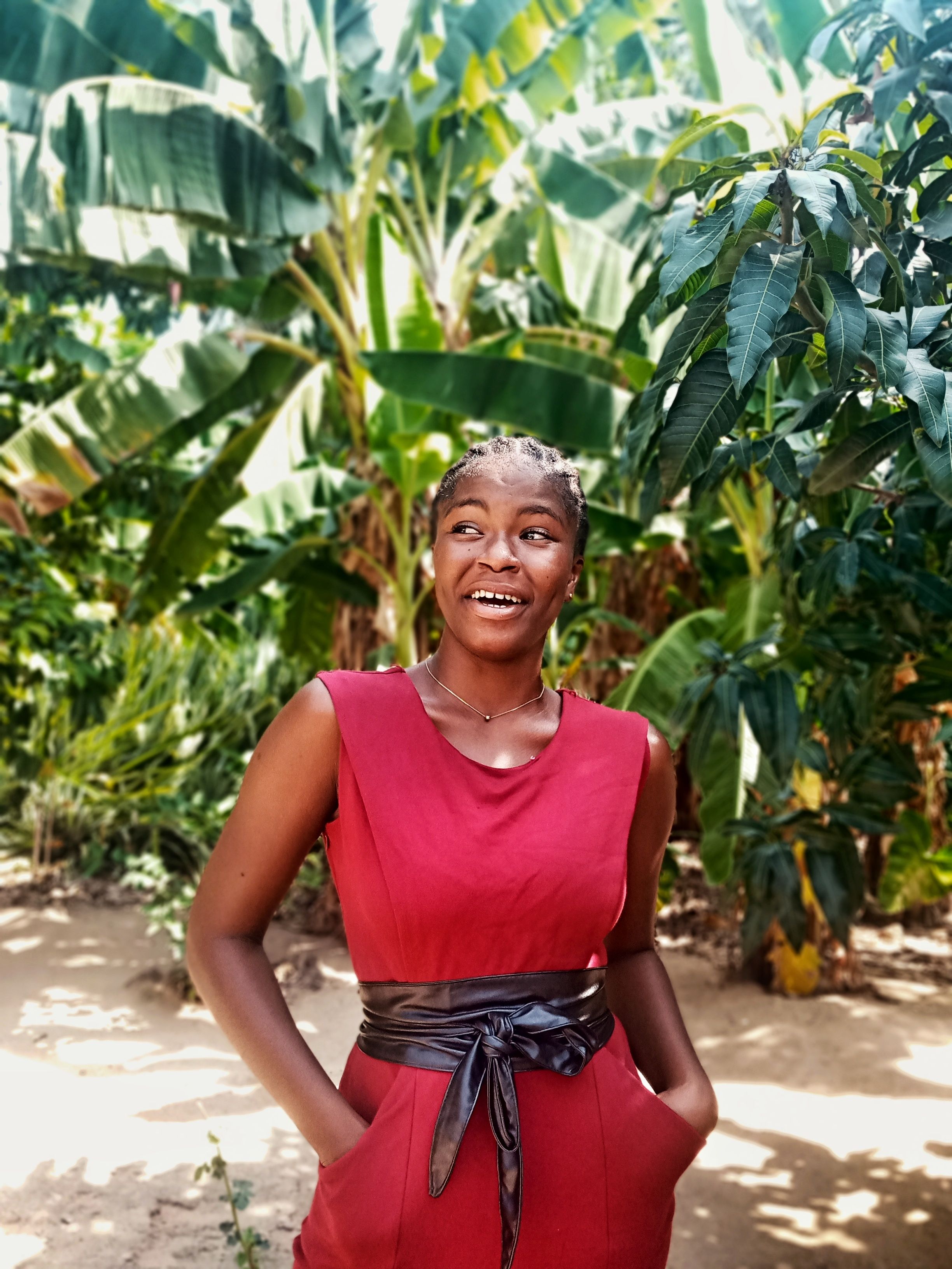 African Bananas Photos, Download The BEST Free African Bananas Stock ...