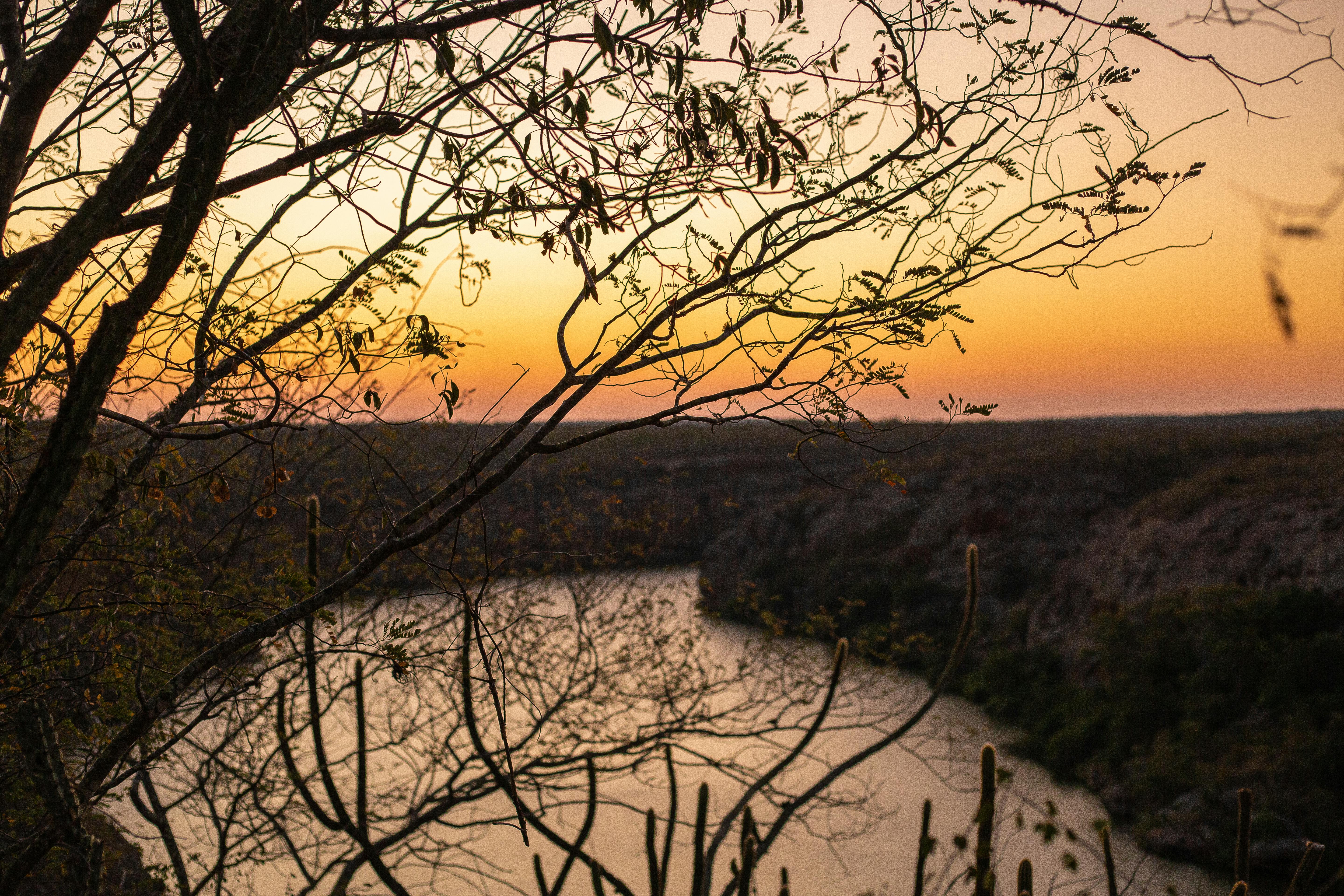 Large Body of Water Stream during Dawn · Free Stock Photo