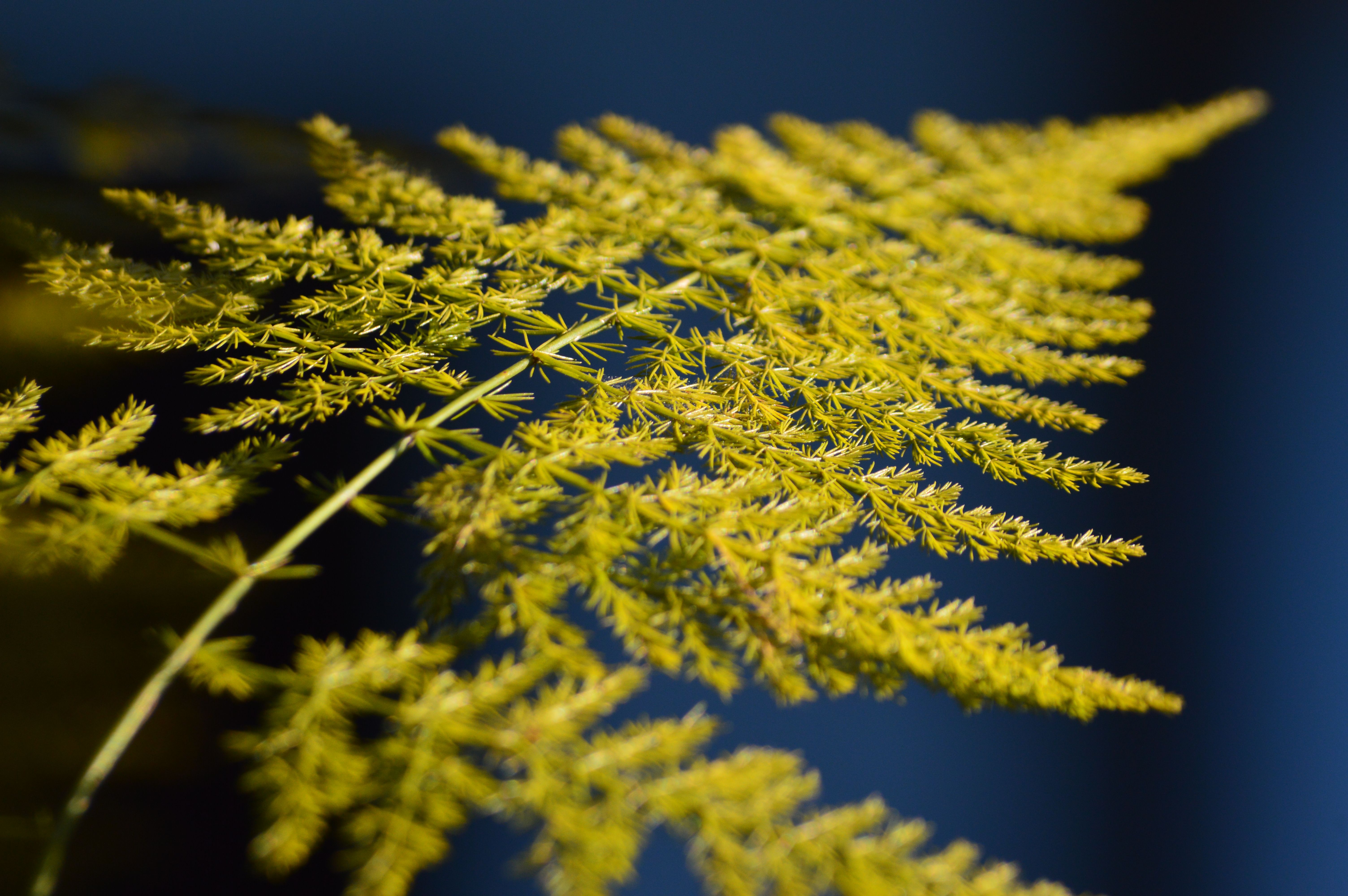 Zoom Background Simple Photos, Download The BEST Free Zoom Background ...