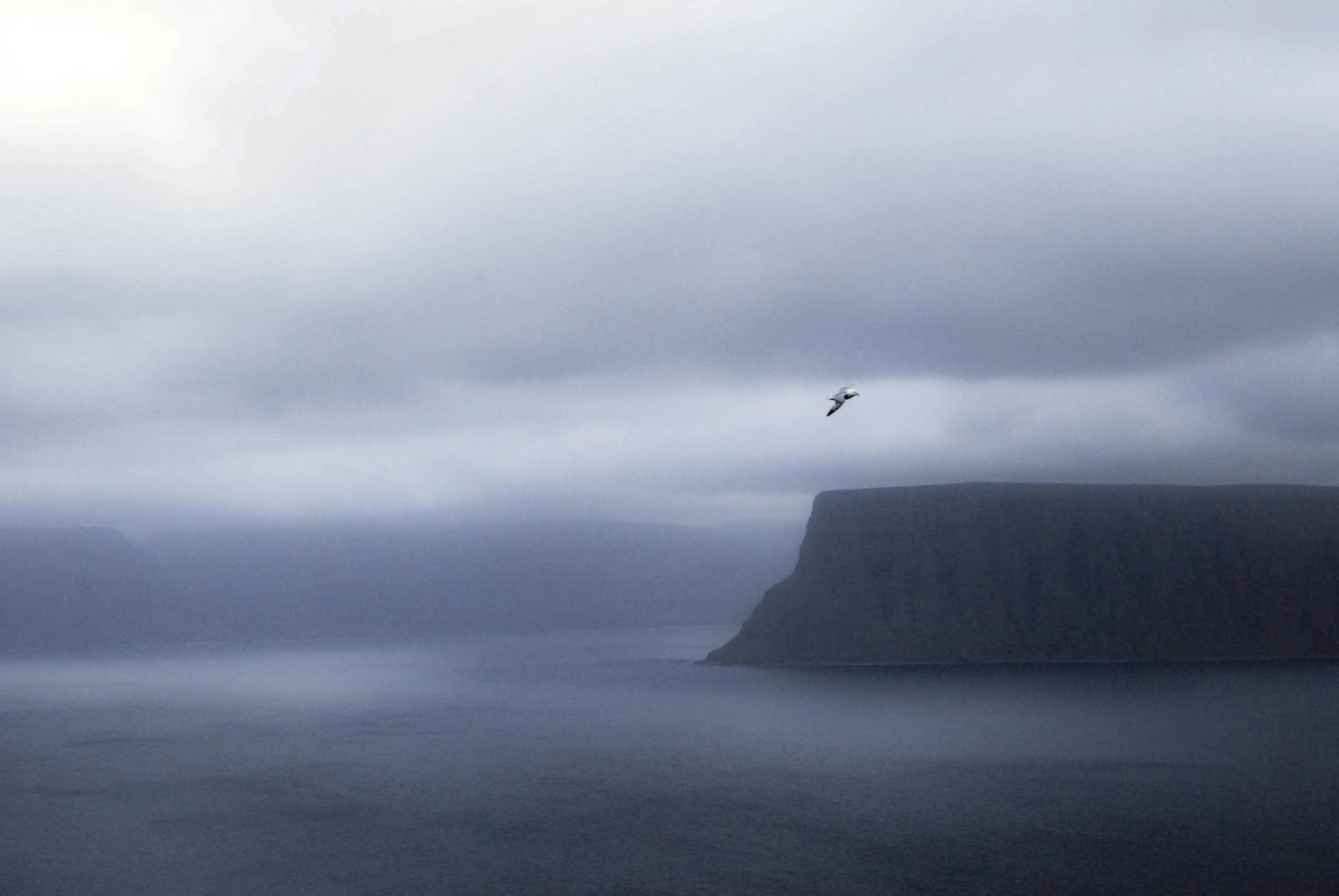 2,000+张最精彩的“Haze”图片 · 100%免费下载 · Pexels素材图片