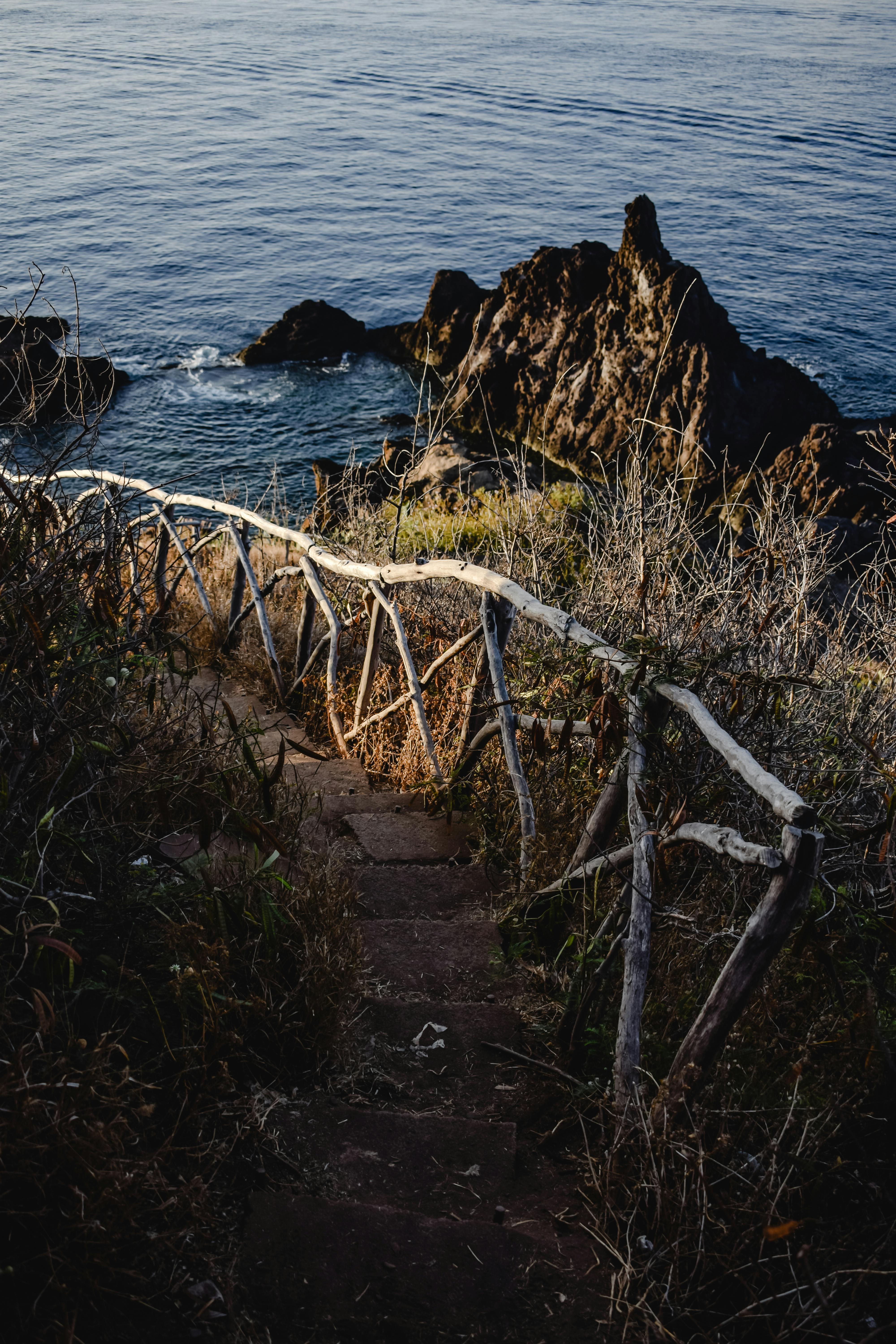 Brown Wooden Fence with Pathway · Free Stock Photo