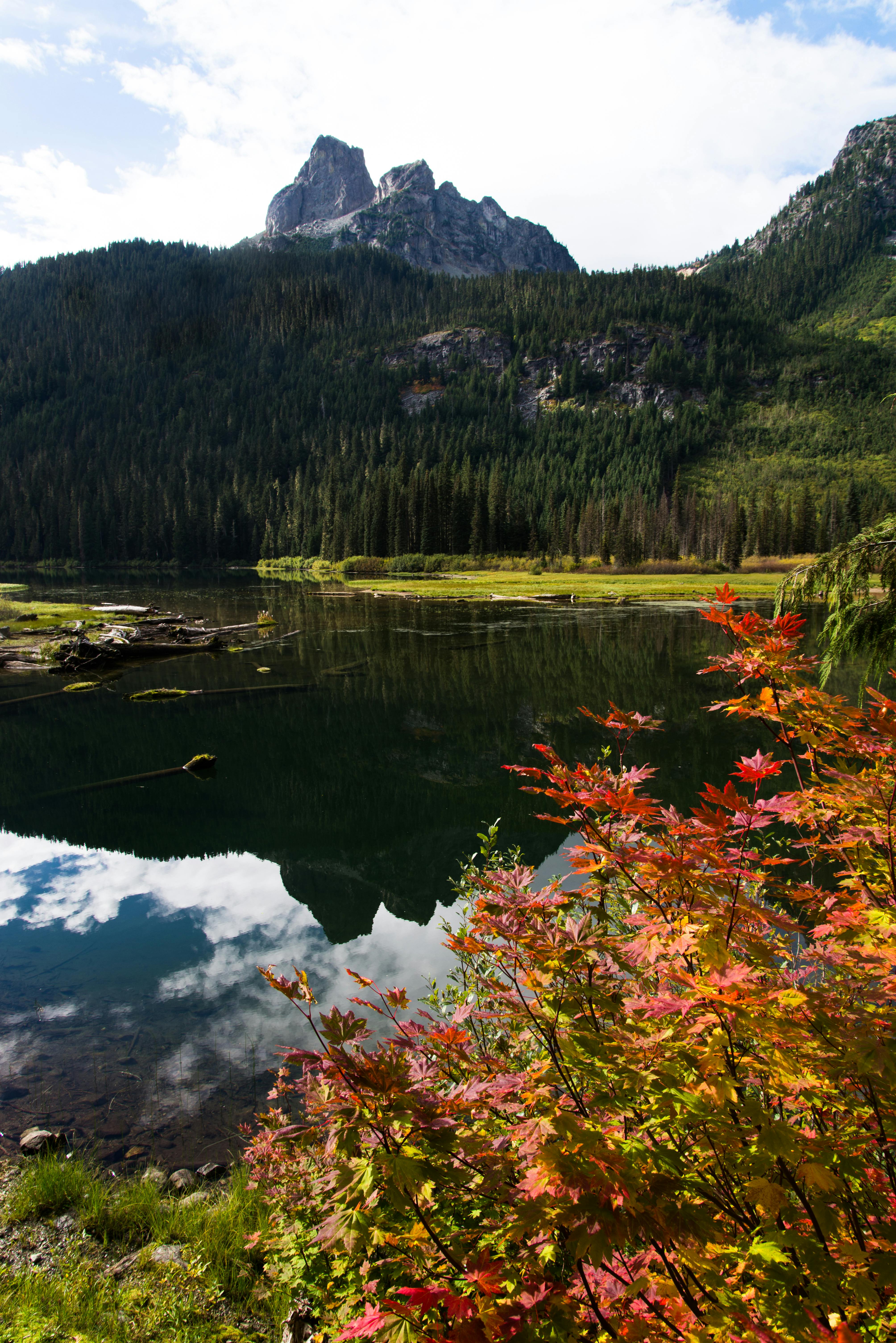 Free stock photo of cascades, fall colors, mountains