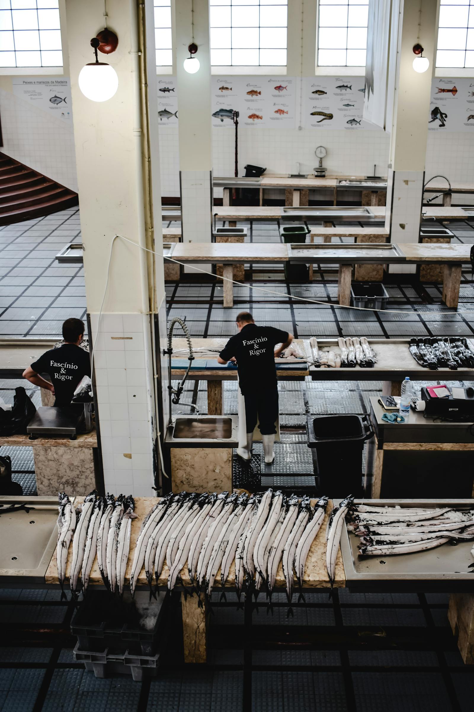 2,455,645+以上の無料うなぎ画像