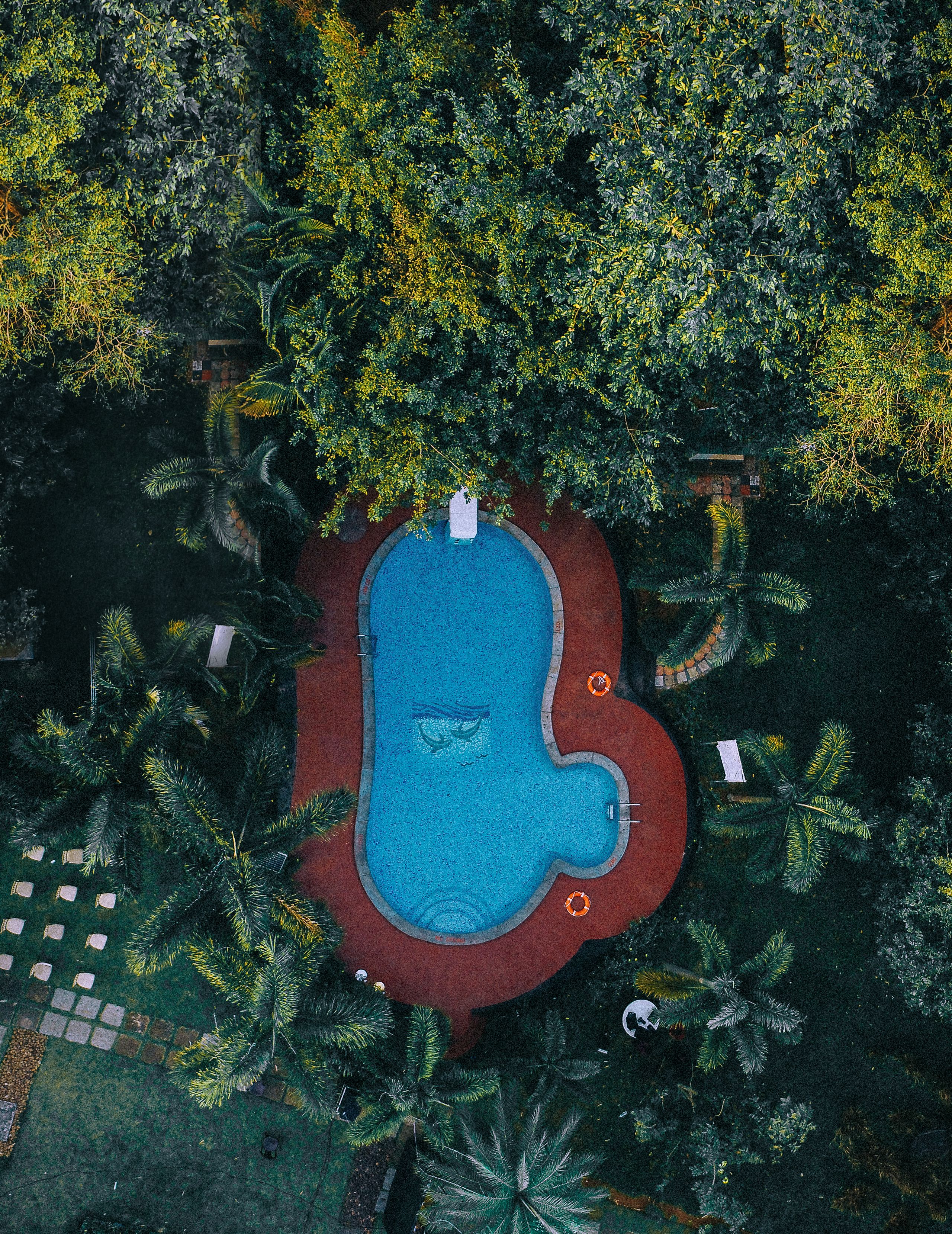 An Aerial Shot of a Swimming Pool · Free Stock Photo