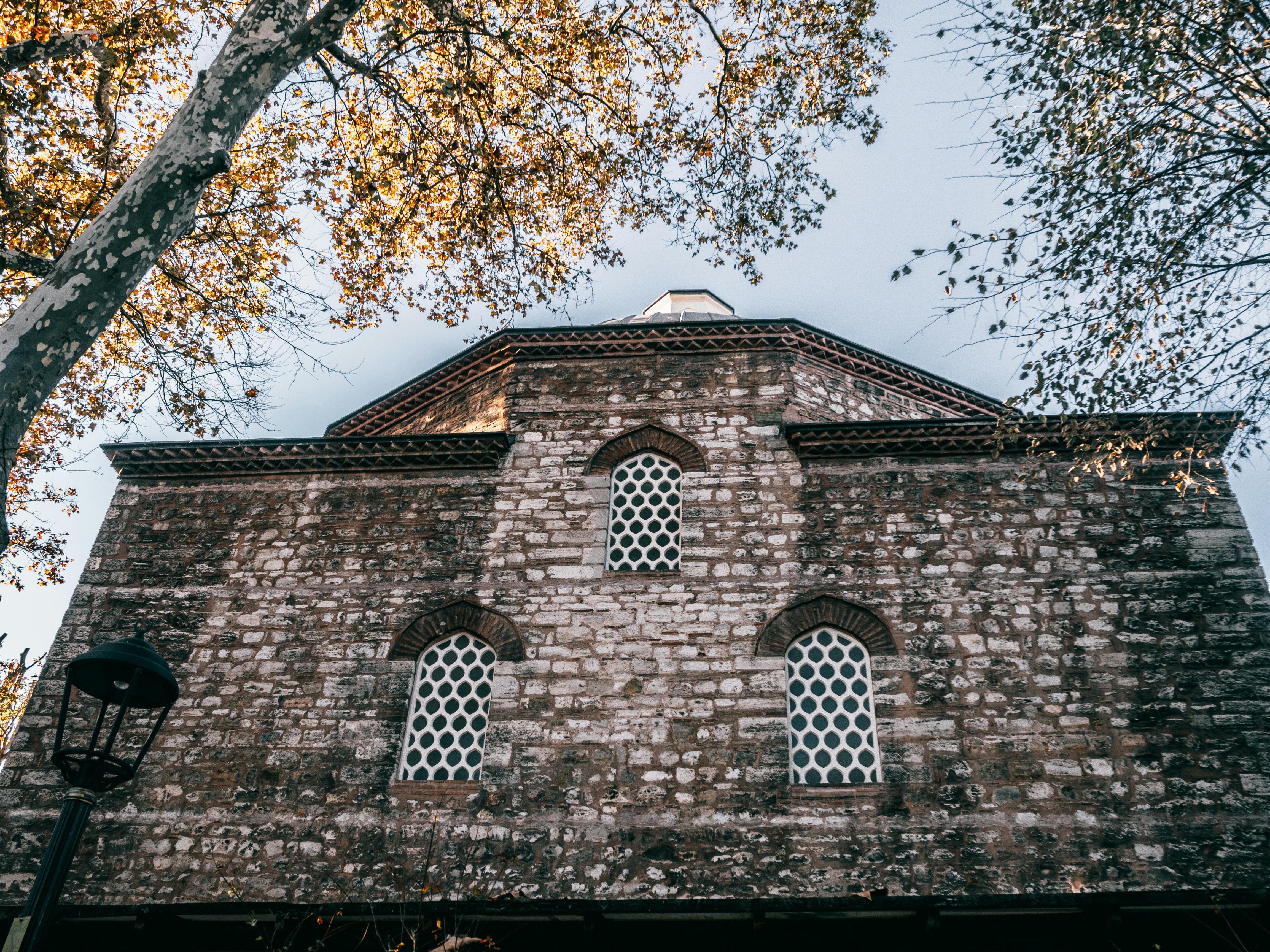 Medieval stone building facade surrounded by autumn trees · Free Stock ...