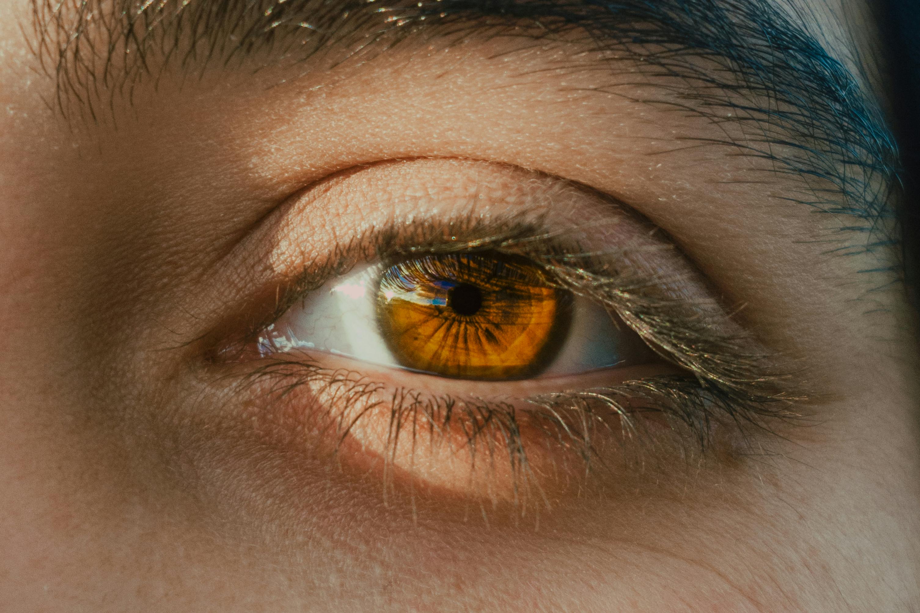 Close-Up of a Person's Eye · Free Stock Photo