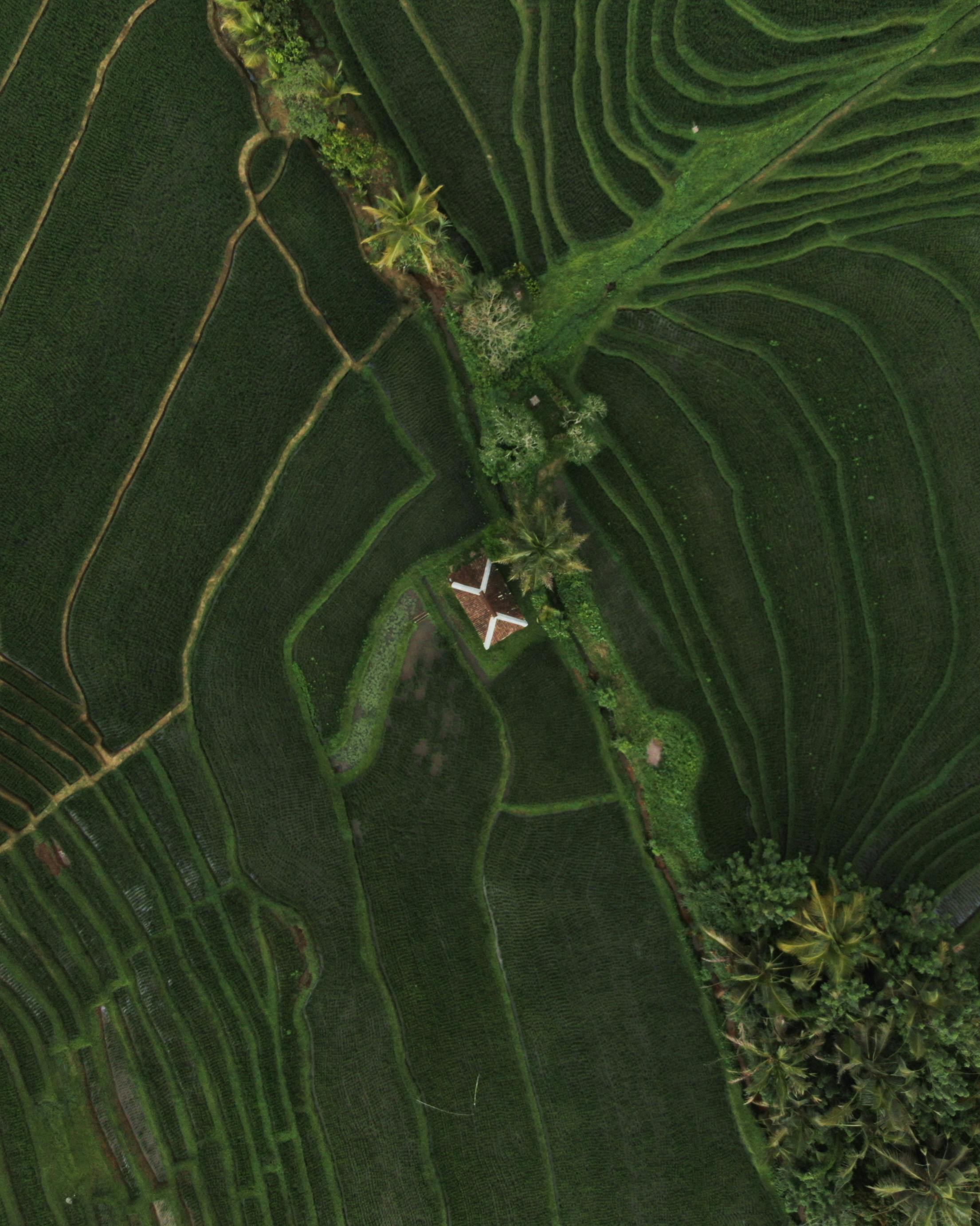 Land Property Photos, Download The BEST Free Land Property Stock Photos ...