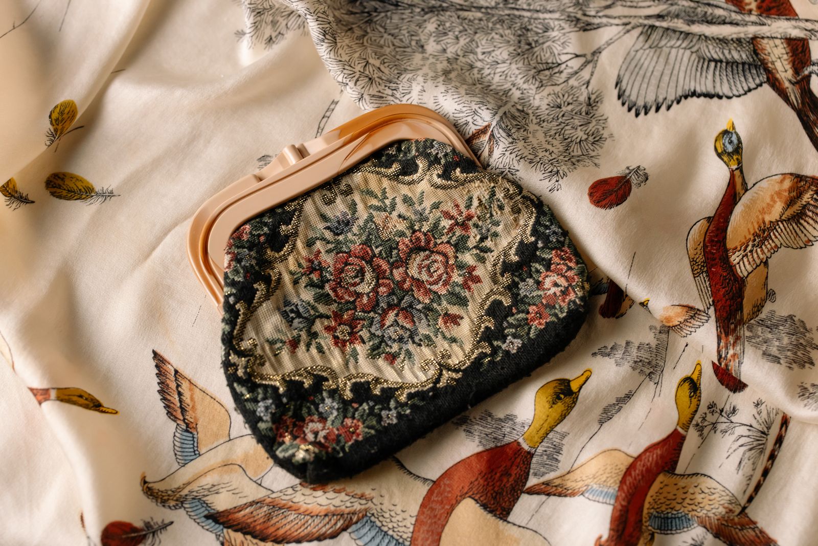 60+张最精彩的“Camela Clutch”图片 · 100%免费下载 · Pexels素材图片
