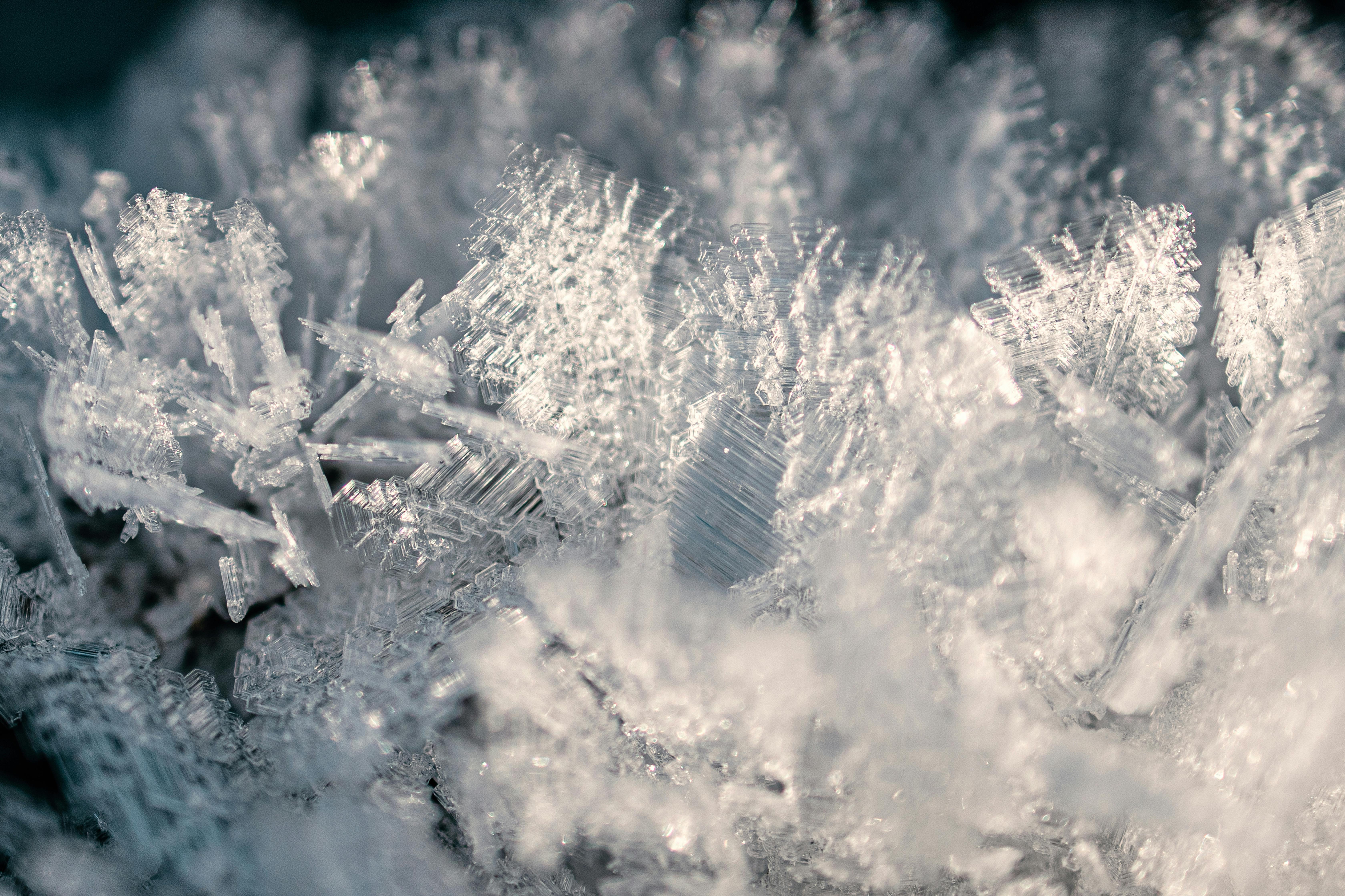 Macro Photography of Snowflake · Free Stock Photo