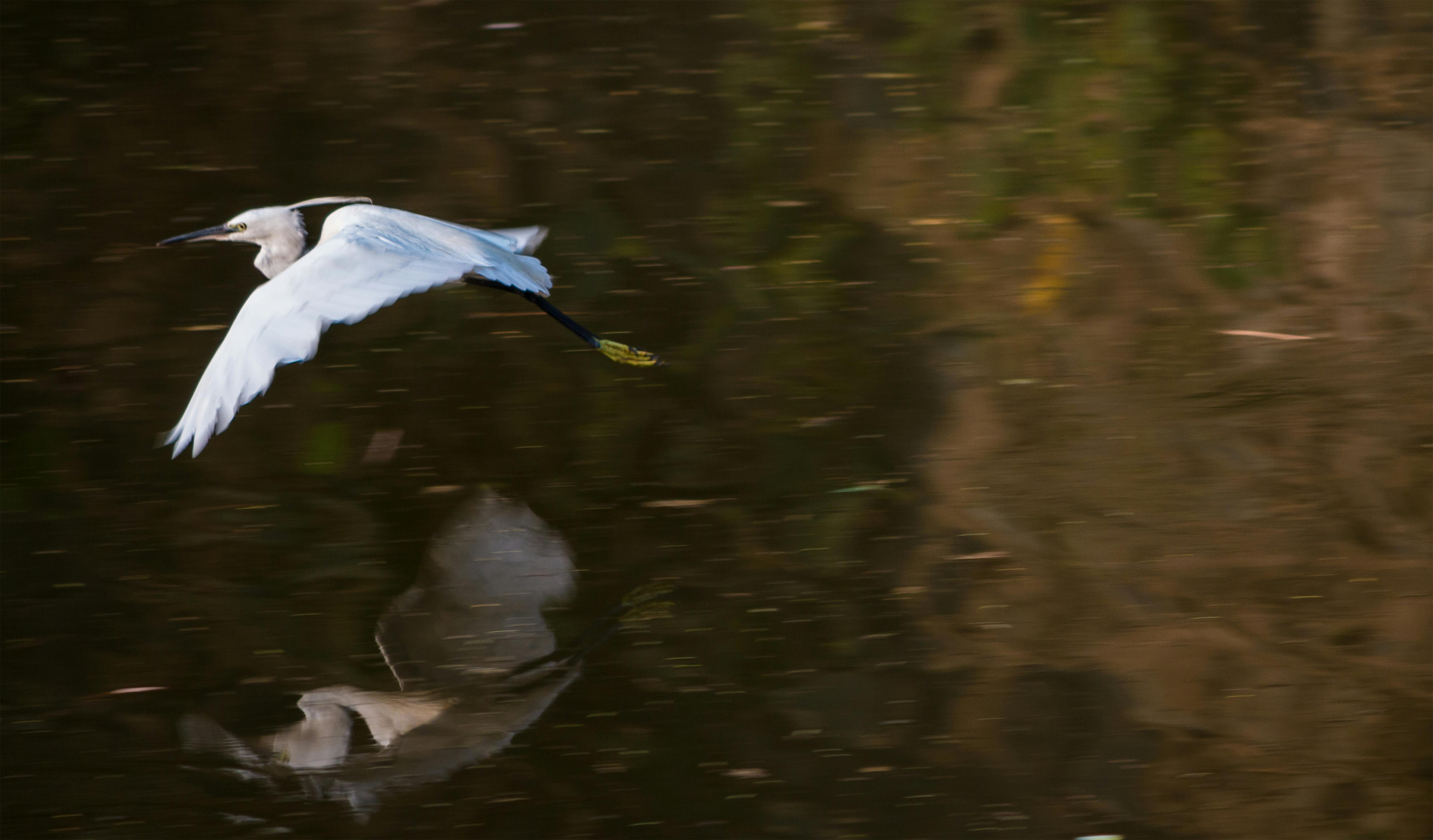 Hemant Goyal - Photography Hemant Goyal - Photography