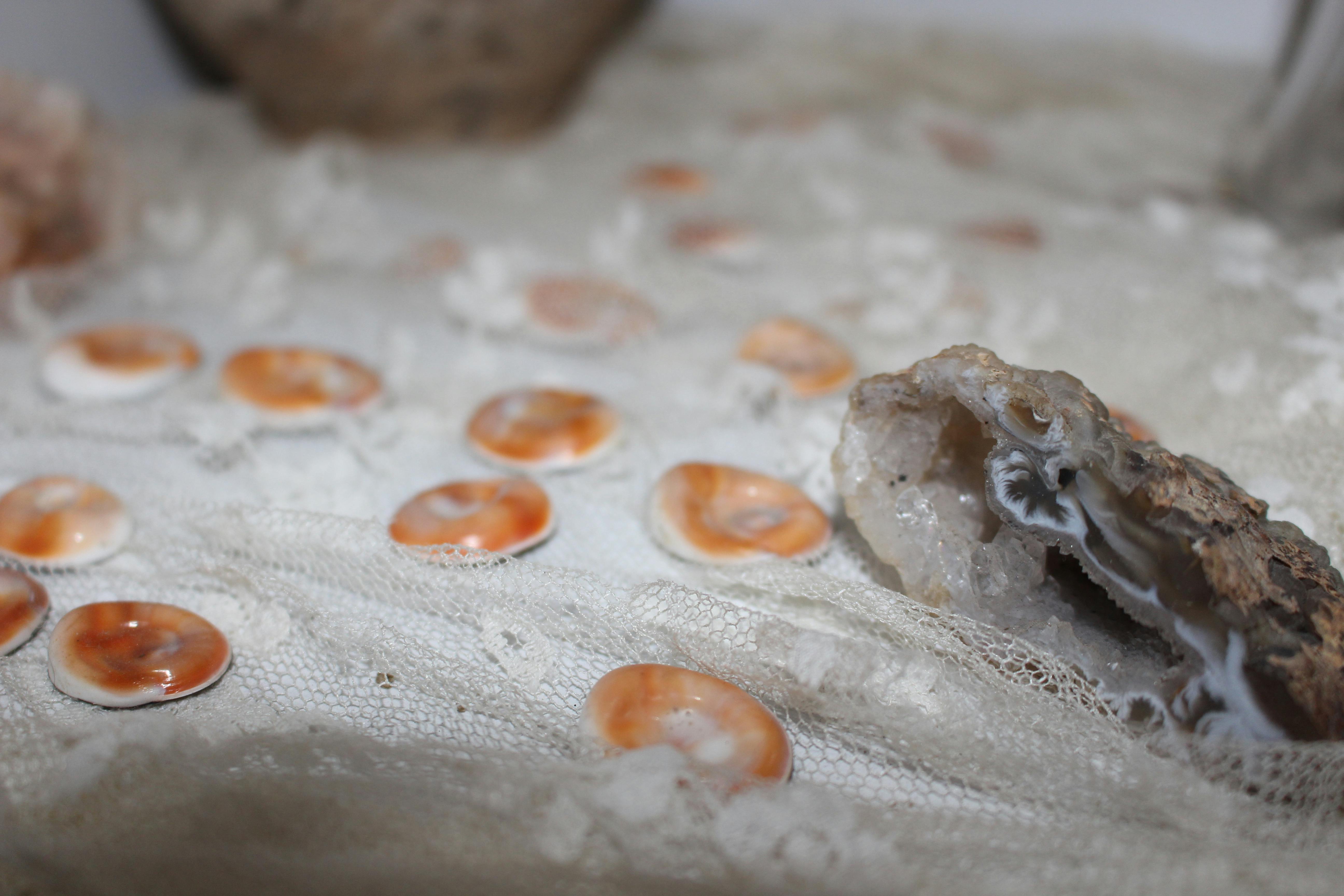 Regina Carbonell - 사진