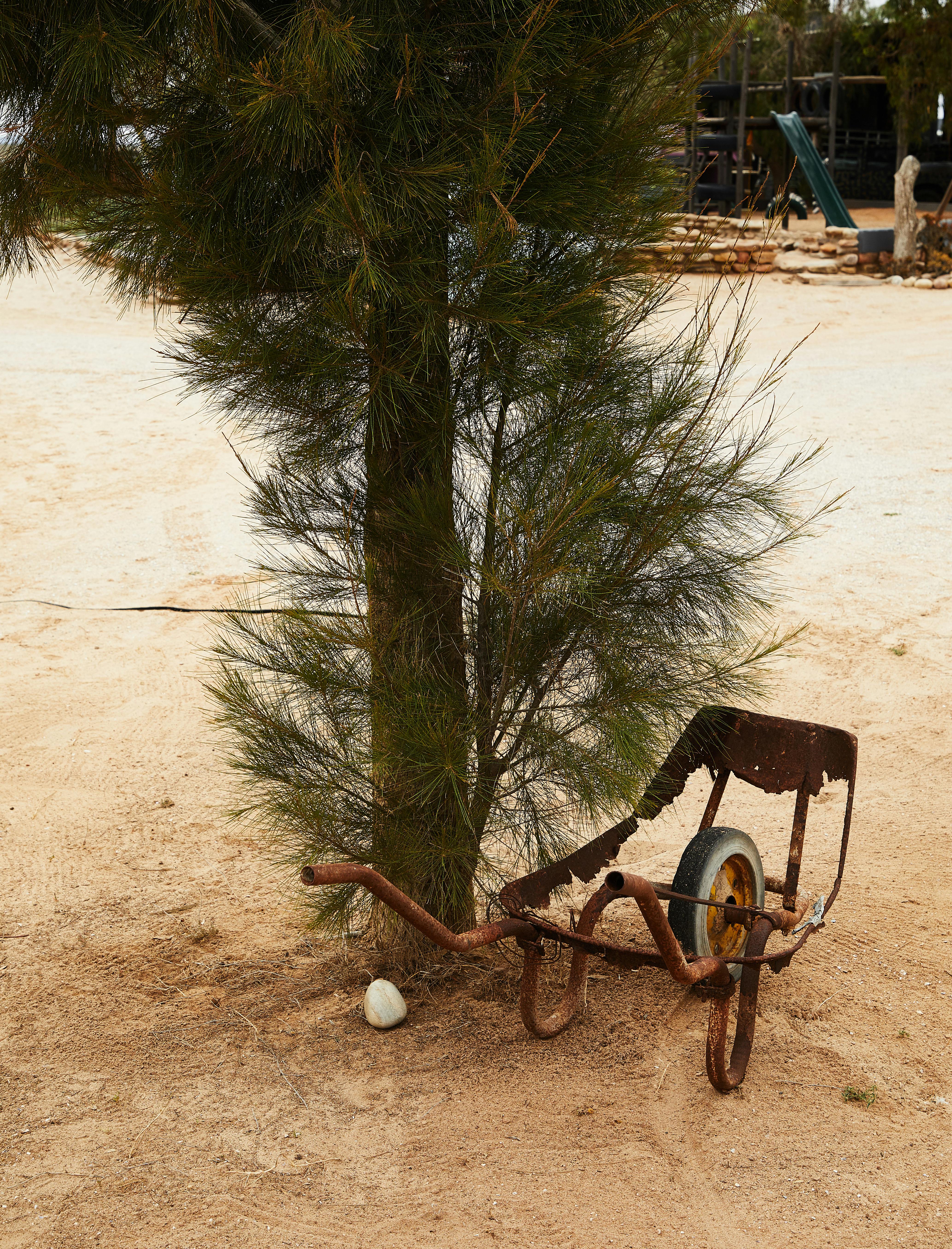 Broken rusty wheelbarrow near tree · Free Stock Photo