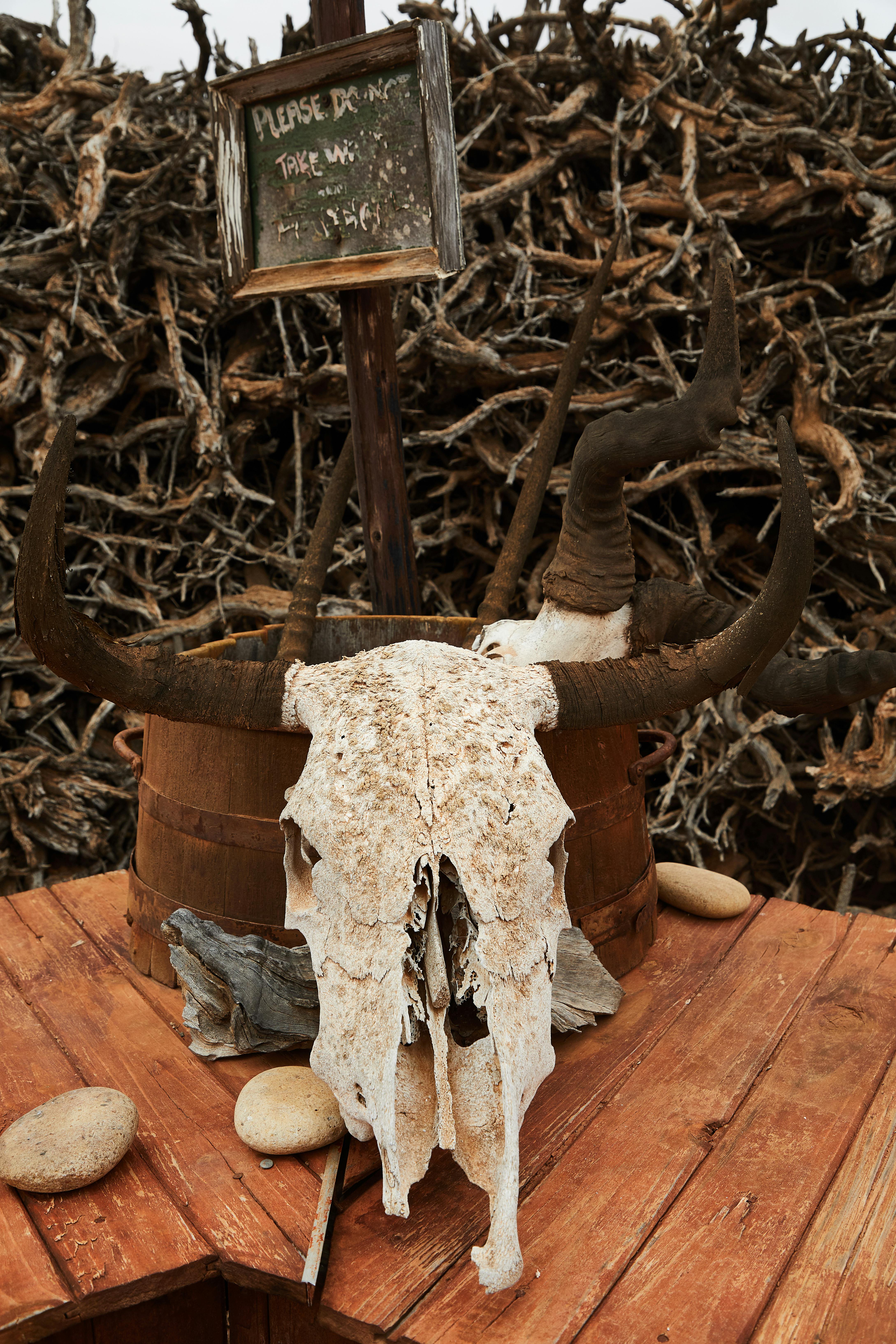 Horror Desert Photos, Download The BEST Free Horror Desert Stock Photos ...