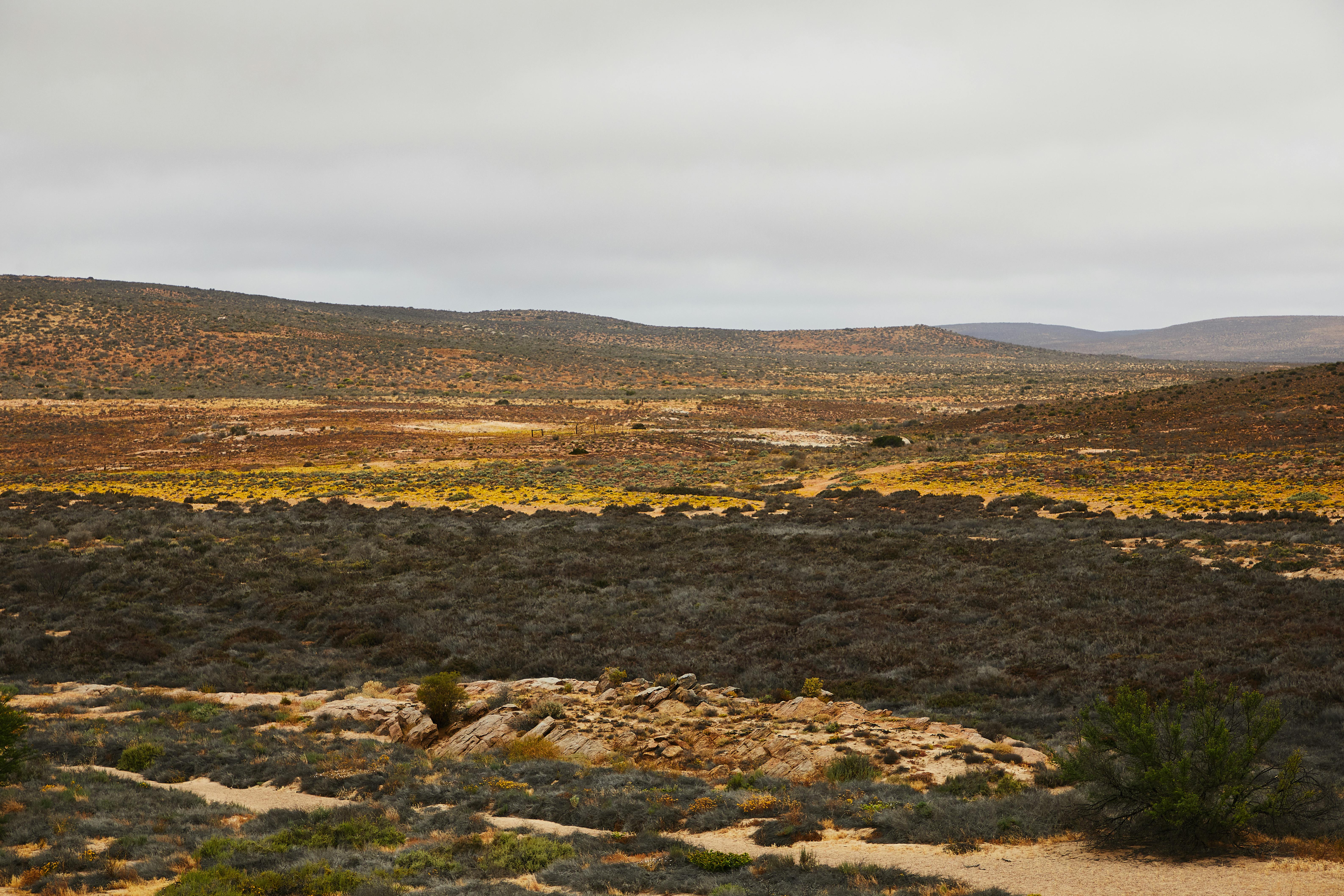 Ground Level, Overcast Desert Photos, Download The BEST Free Ground ...