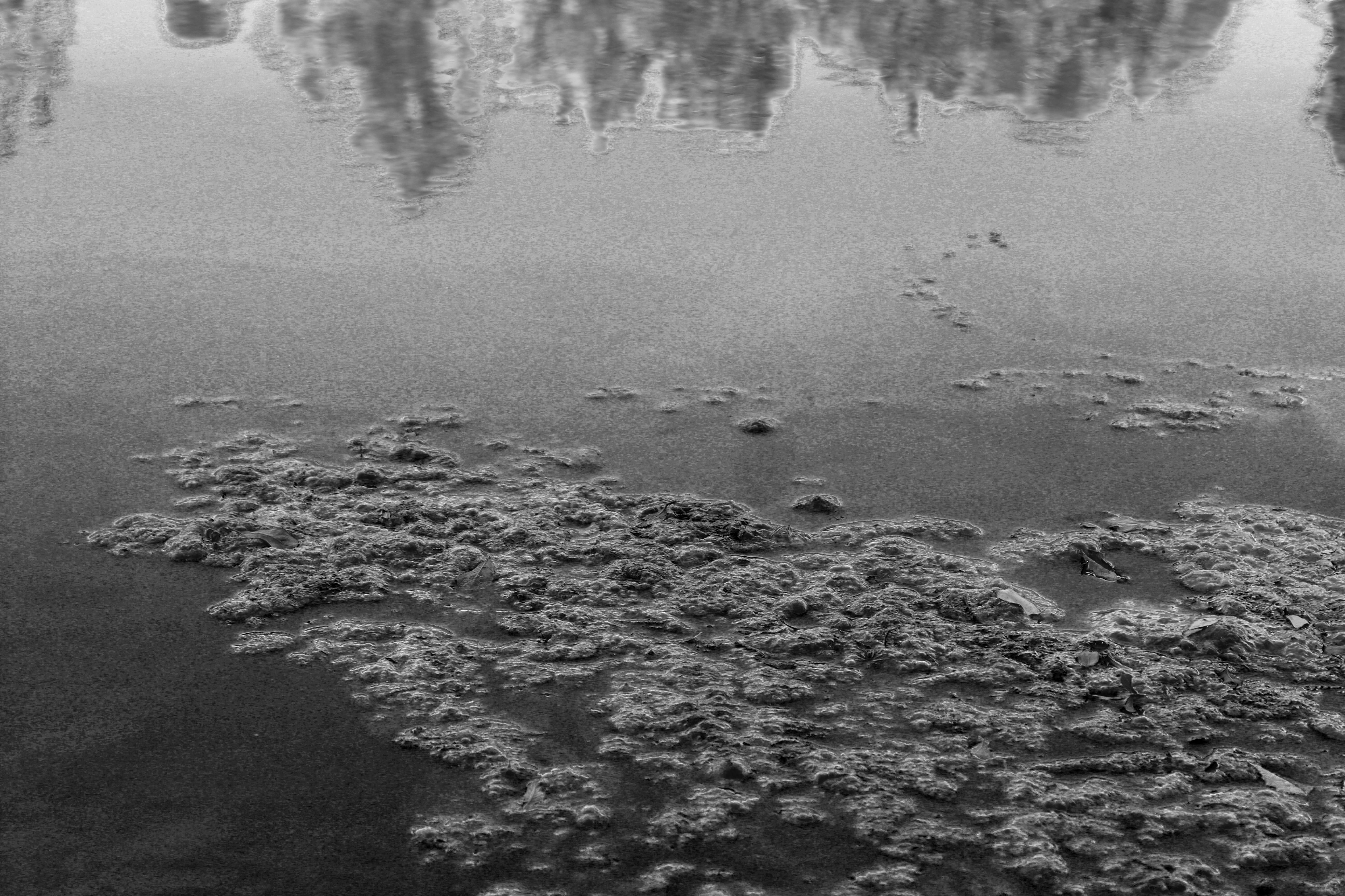 Edited 5 Photos & Videos Collected by Cameron Findlay