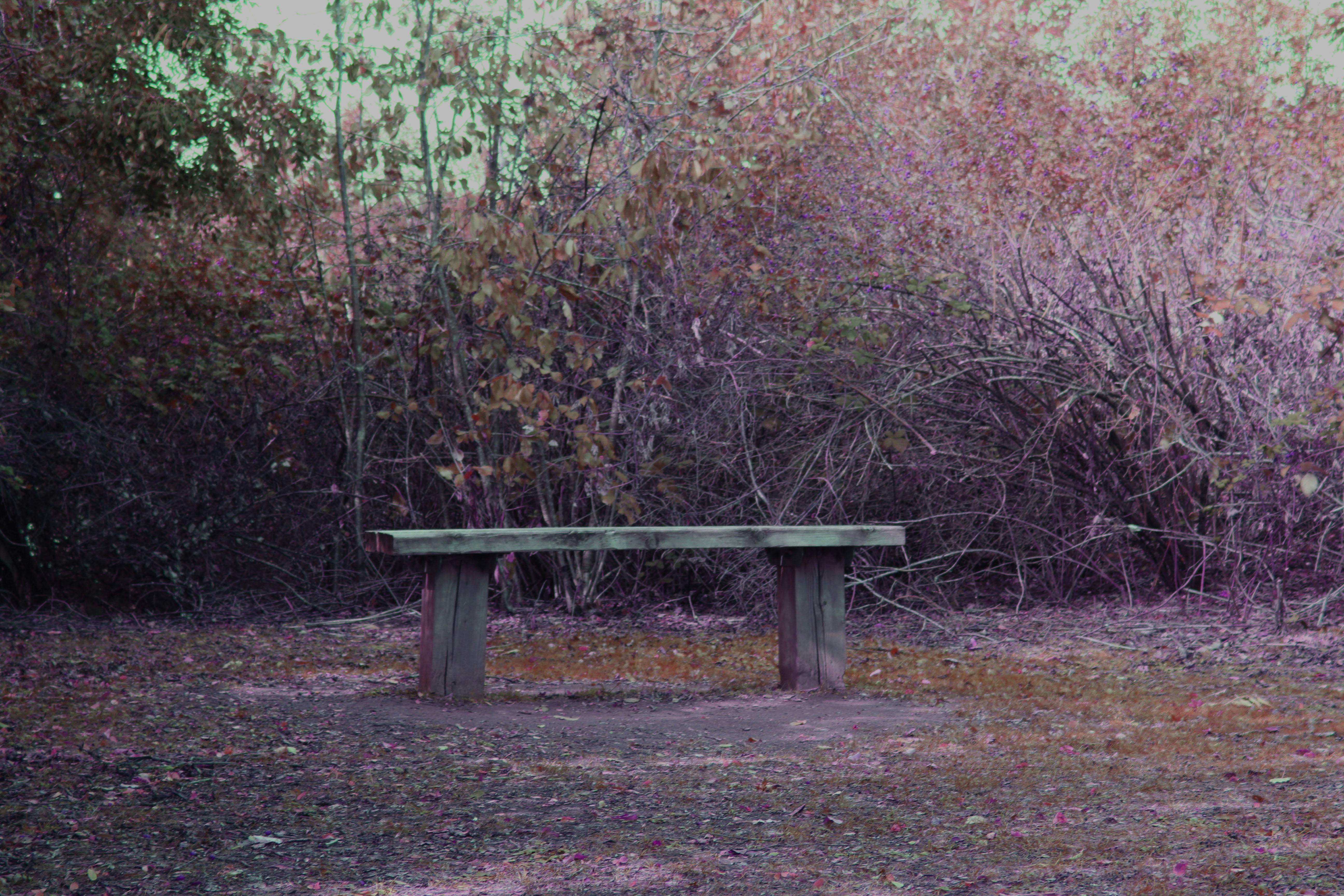 Edited 5 Photos & Videos Collected by Cameron Findlay