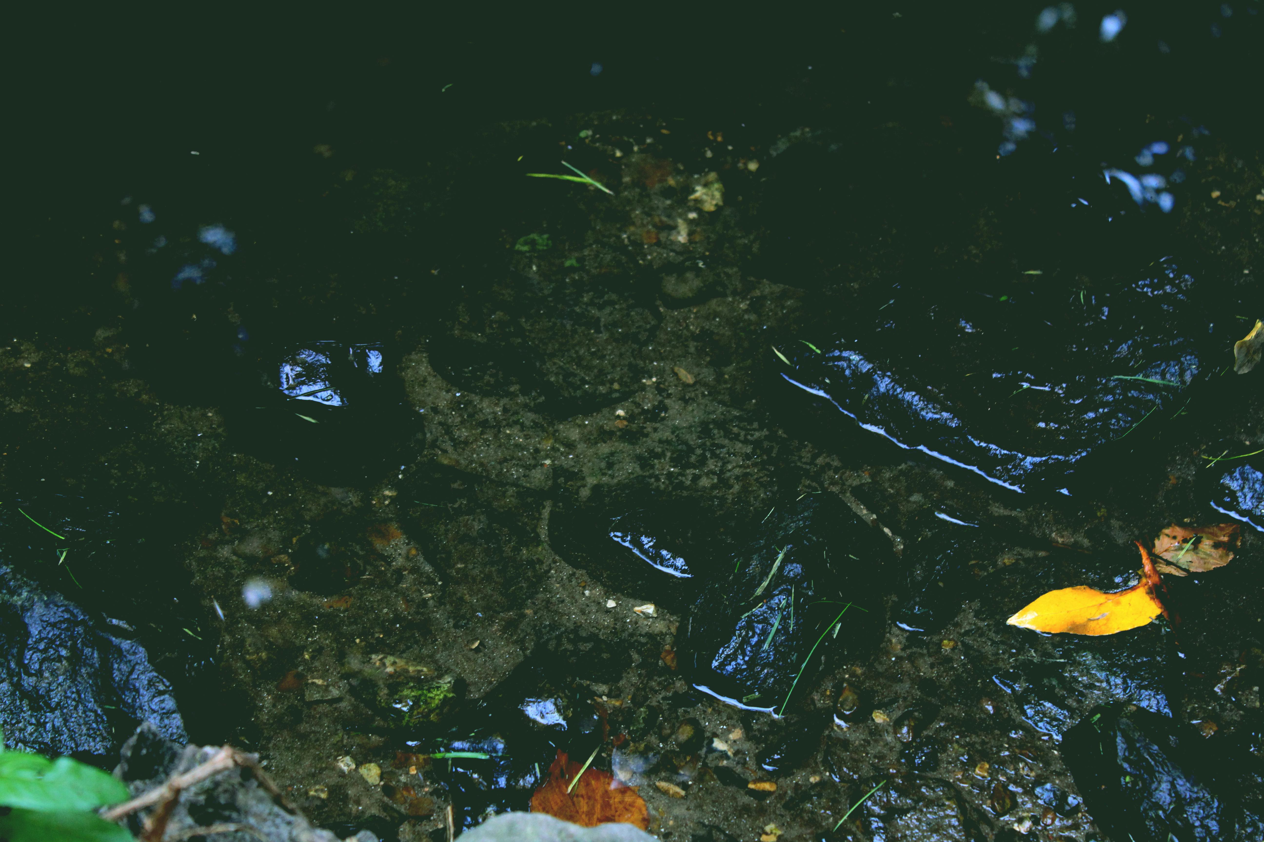 Edited 5 Photos & Videos Collected by Cameron Findlay