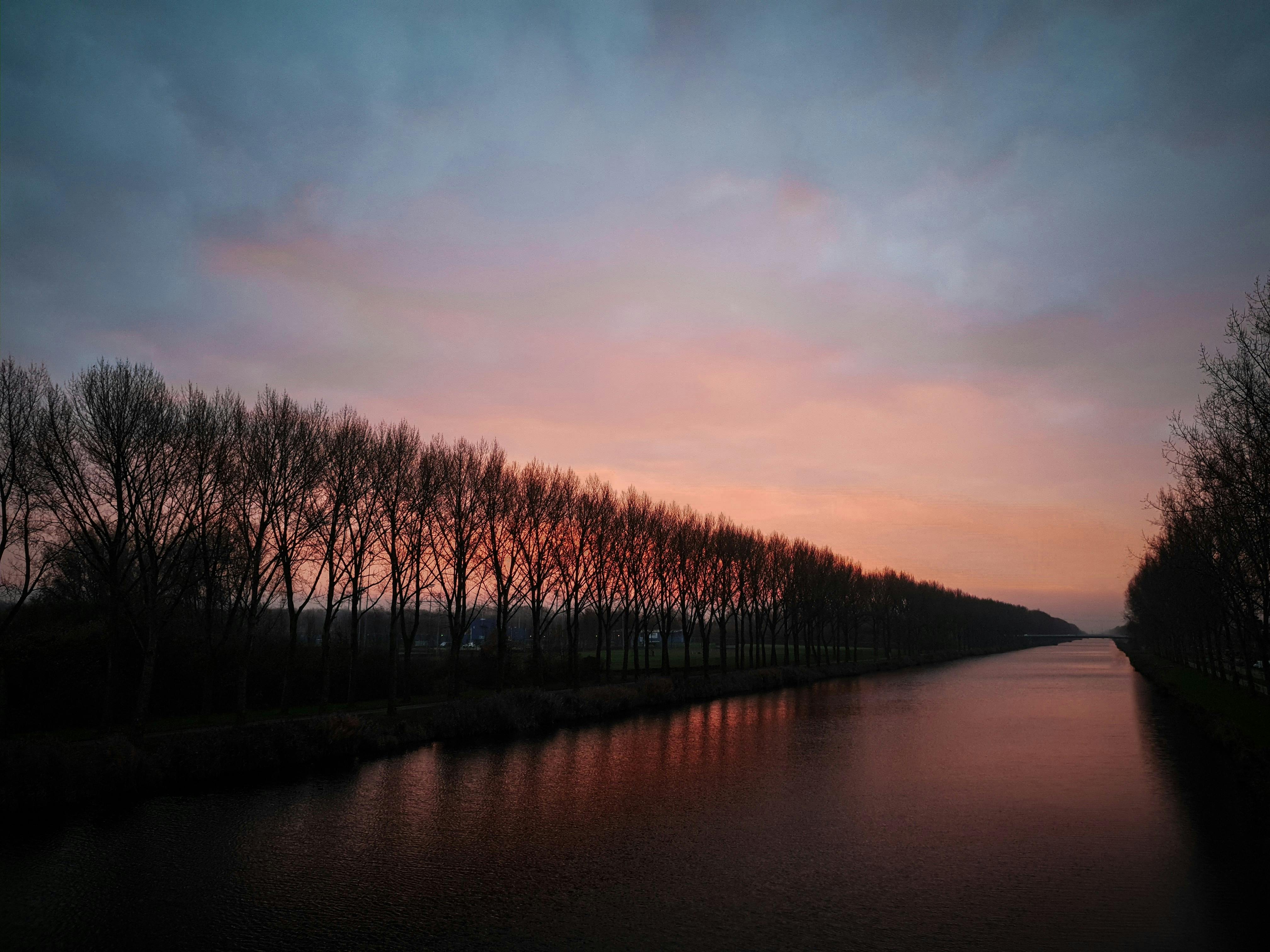 Silhouette of Trees Along a River at Sunset · Free Stock Photo