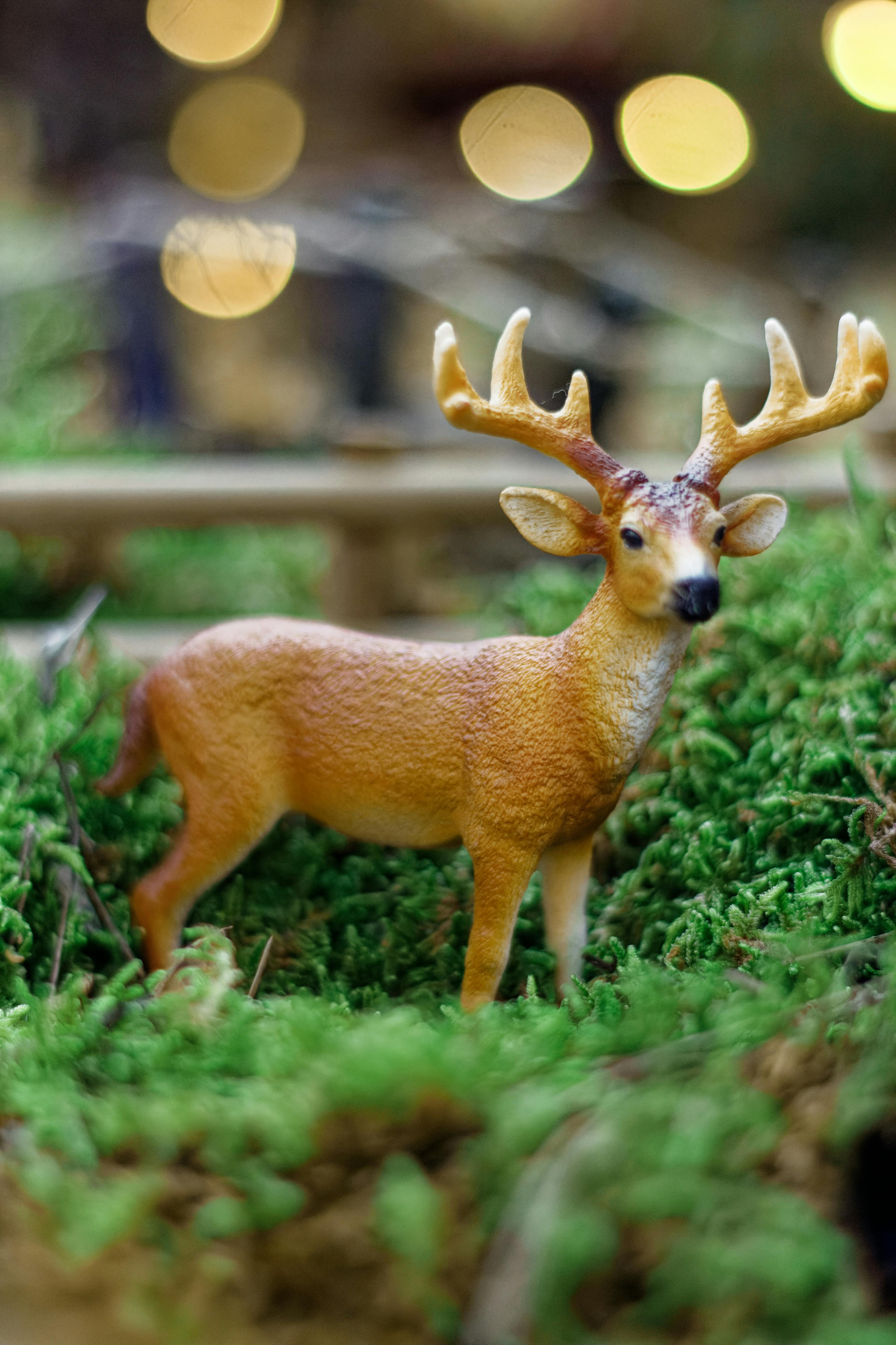 A Miniature Deer on Green Grass · Free Stock Photo