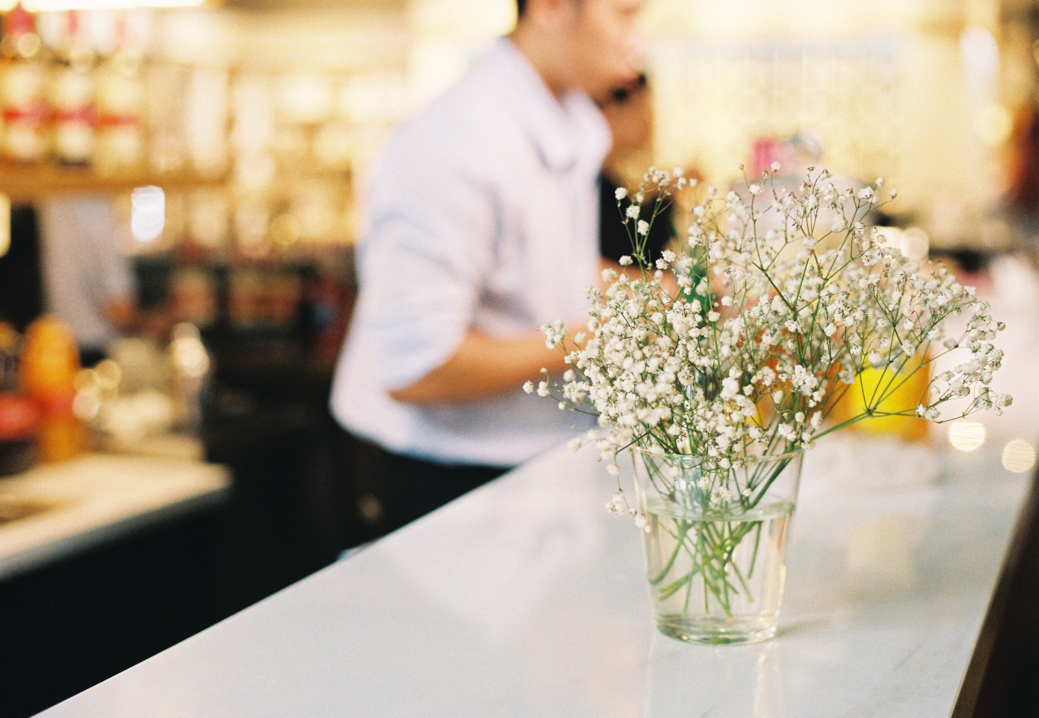 Two Drinks on a Bar Counter · Free Stock Photo