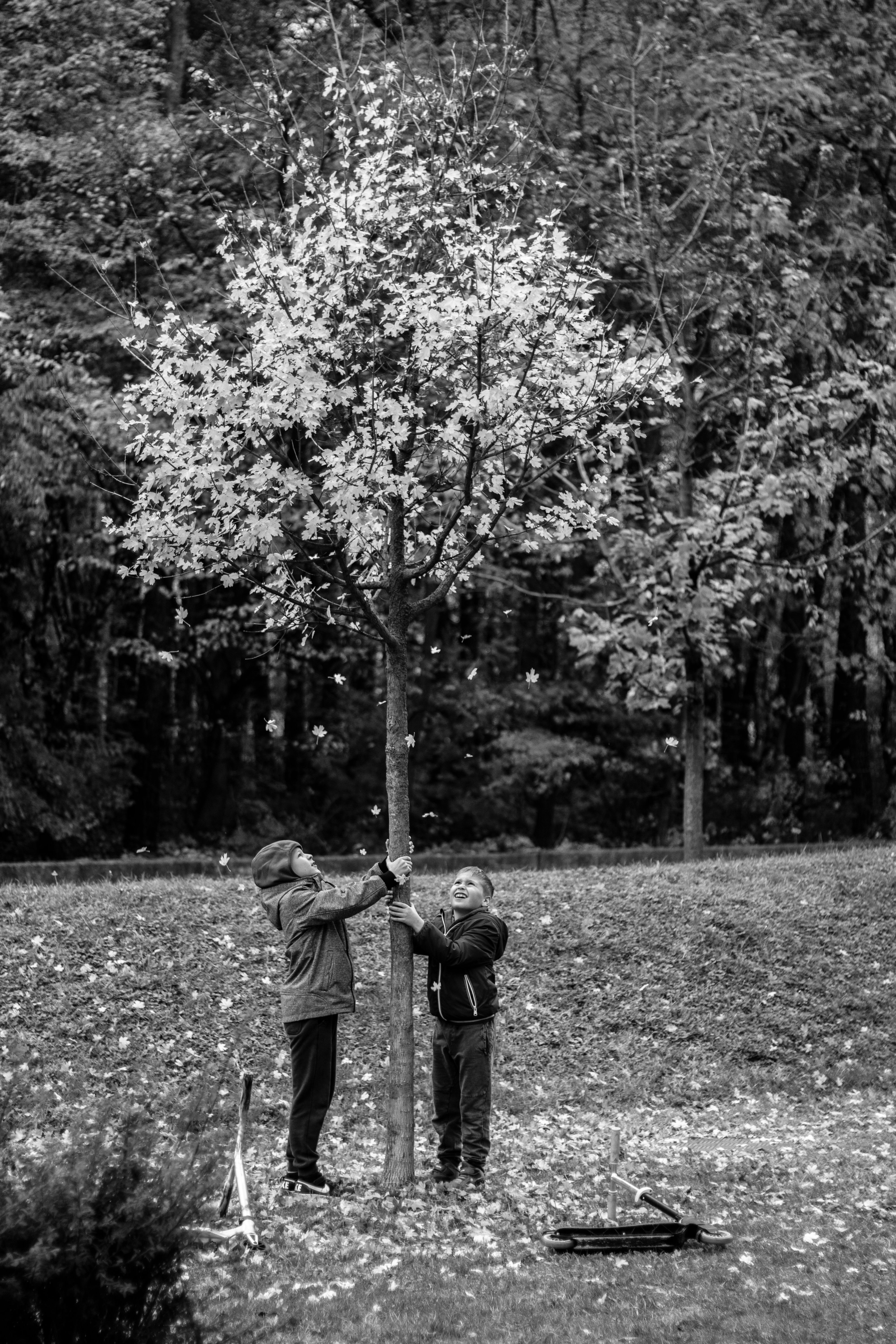 Boys Standing Next to a Tree · Free Stock Photo