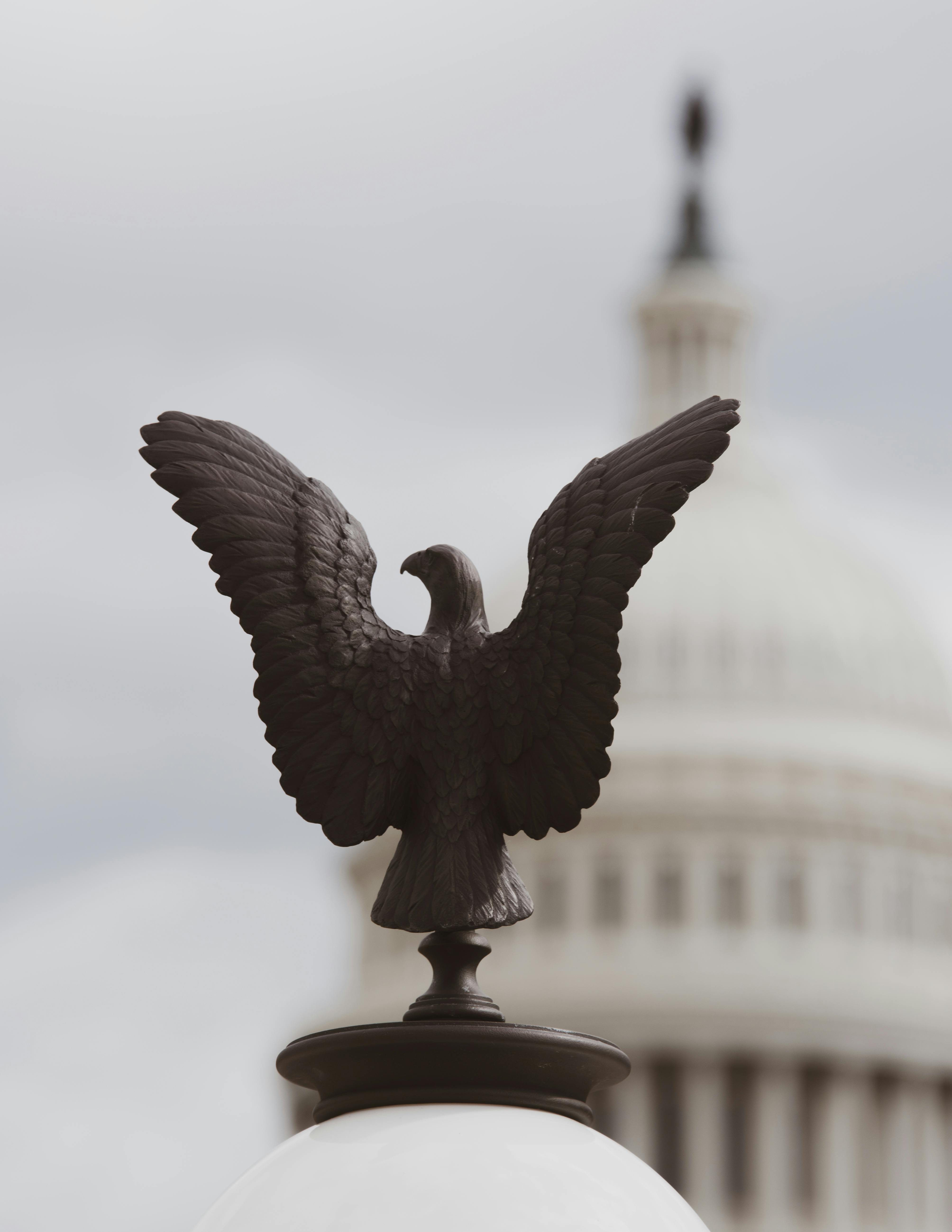Brown Bird Concrete Statue · Free Stock Photo