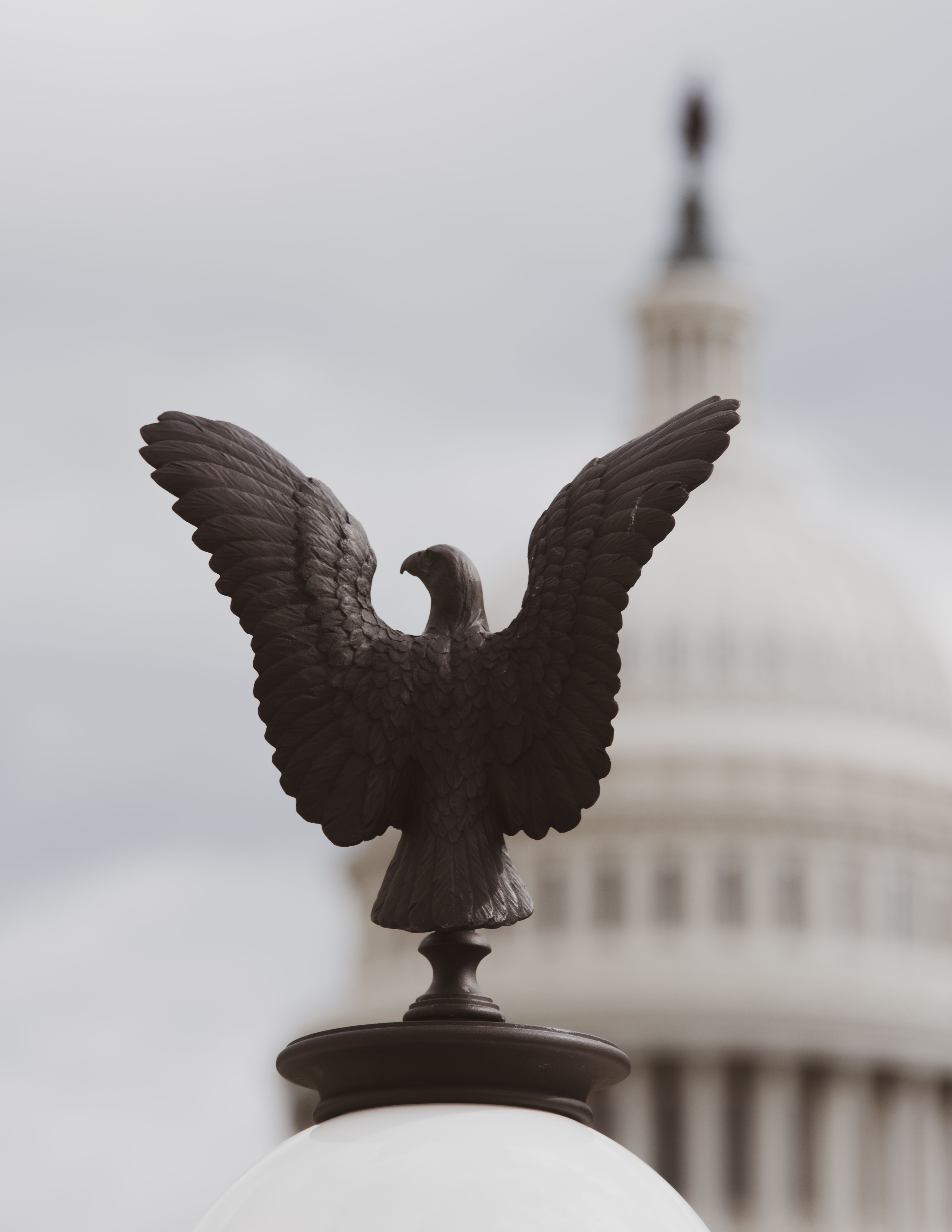 Black Dragon Roof Ornament · Free Stock Photo