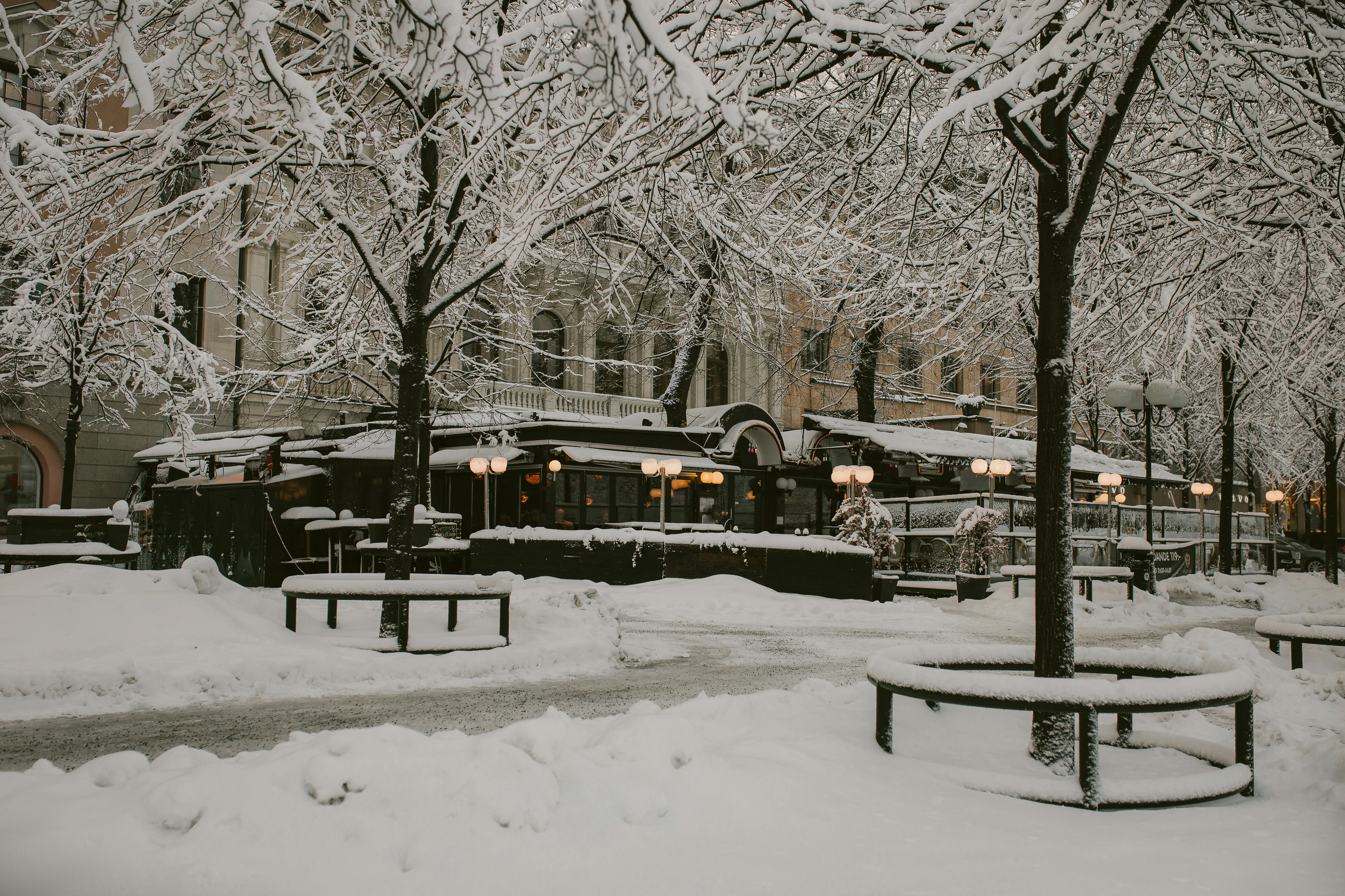 Town Covered in Snow · Free Stock Photo