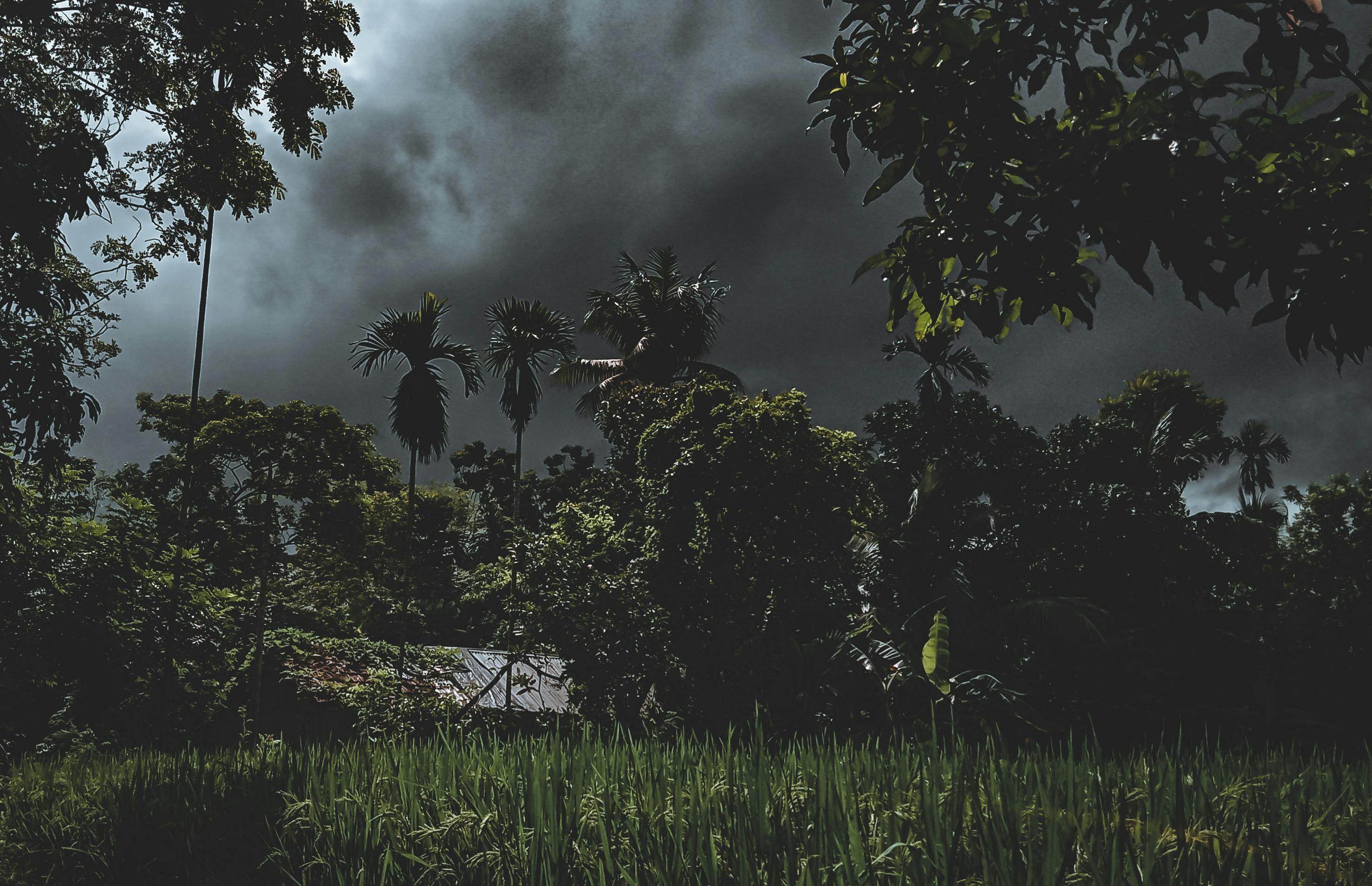 Jb collection 4 Photos & Videos Collected by Jb Photography