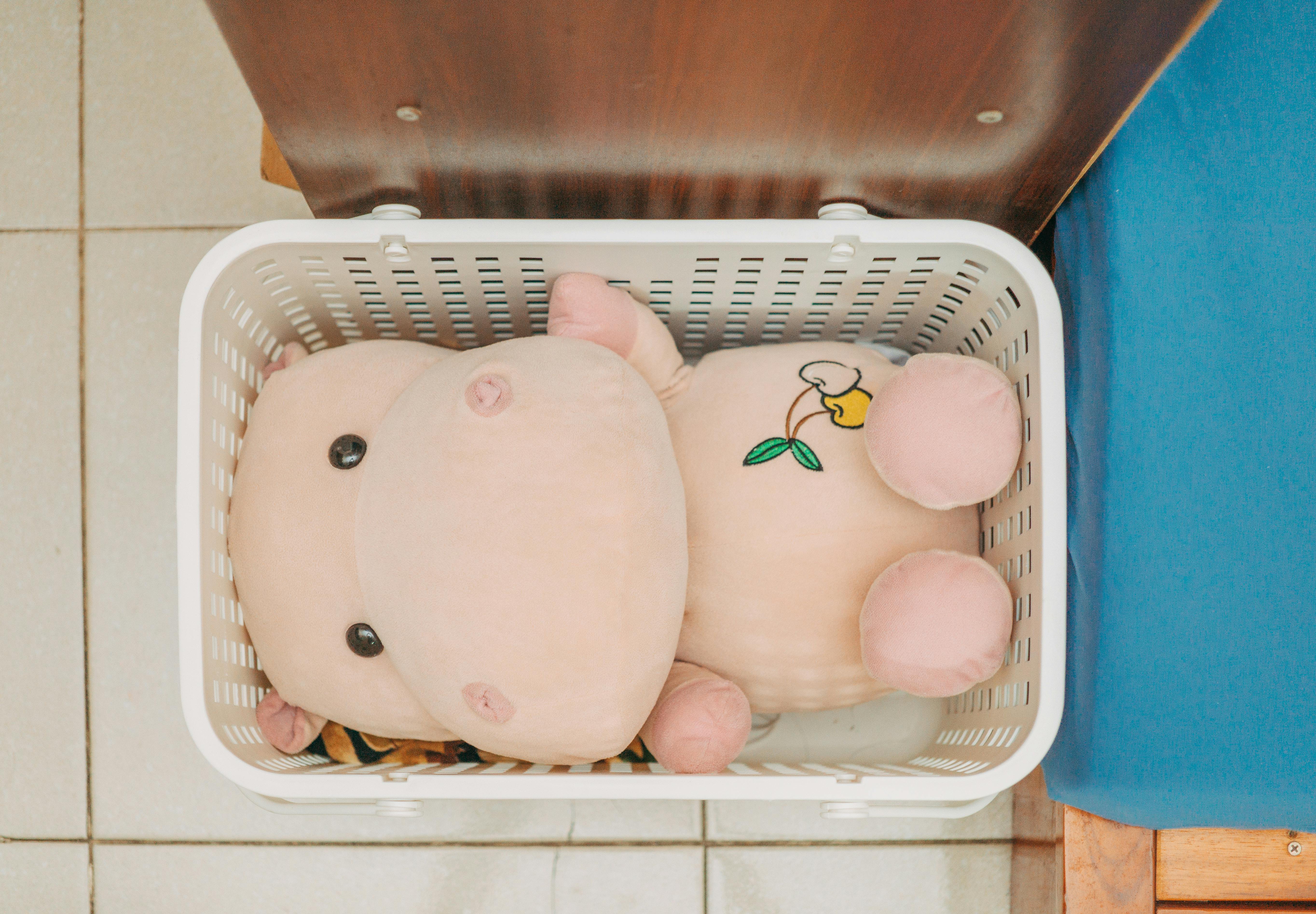 A Stuffed Toy in a Basket · Free Stock Photo