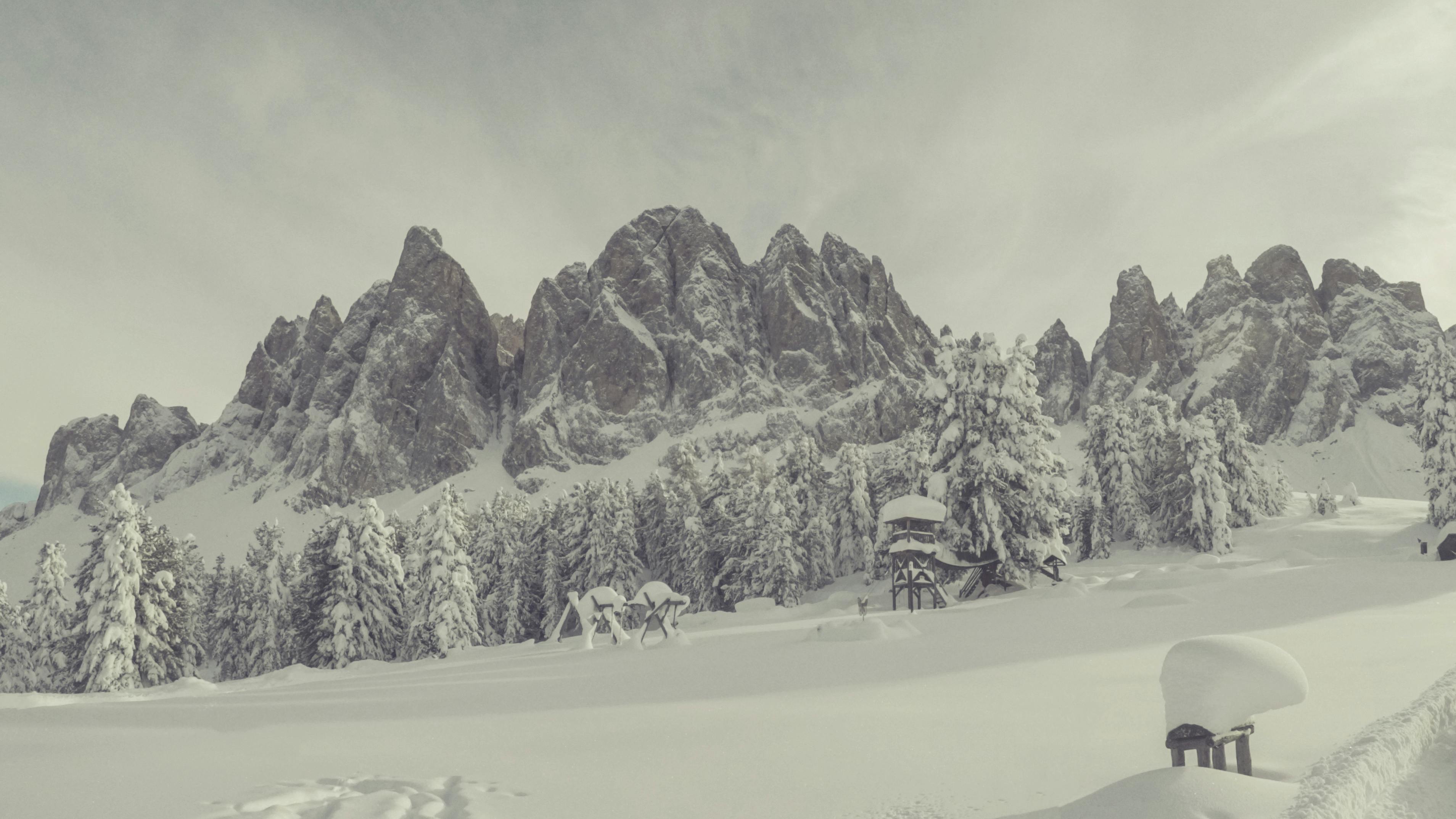 Snowy valley with trees near mountains in daylight · Free Stock Photo