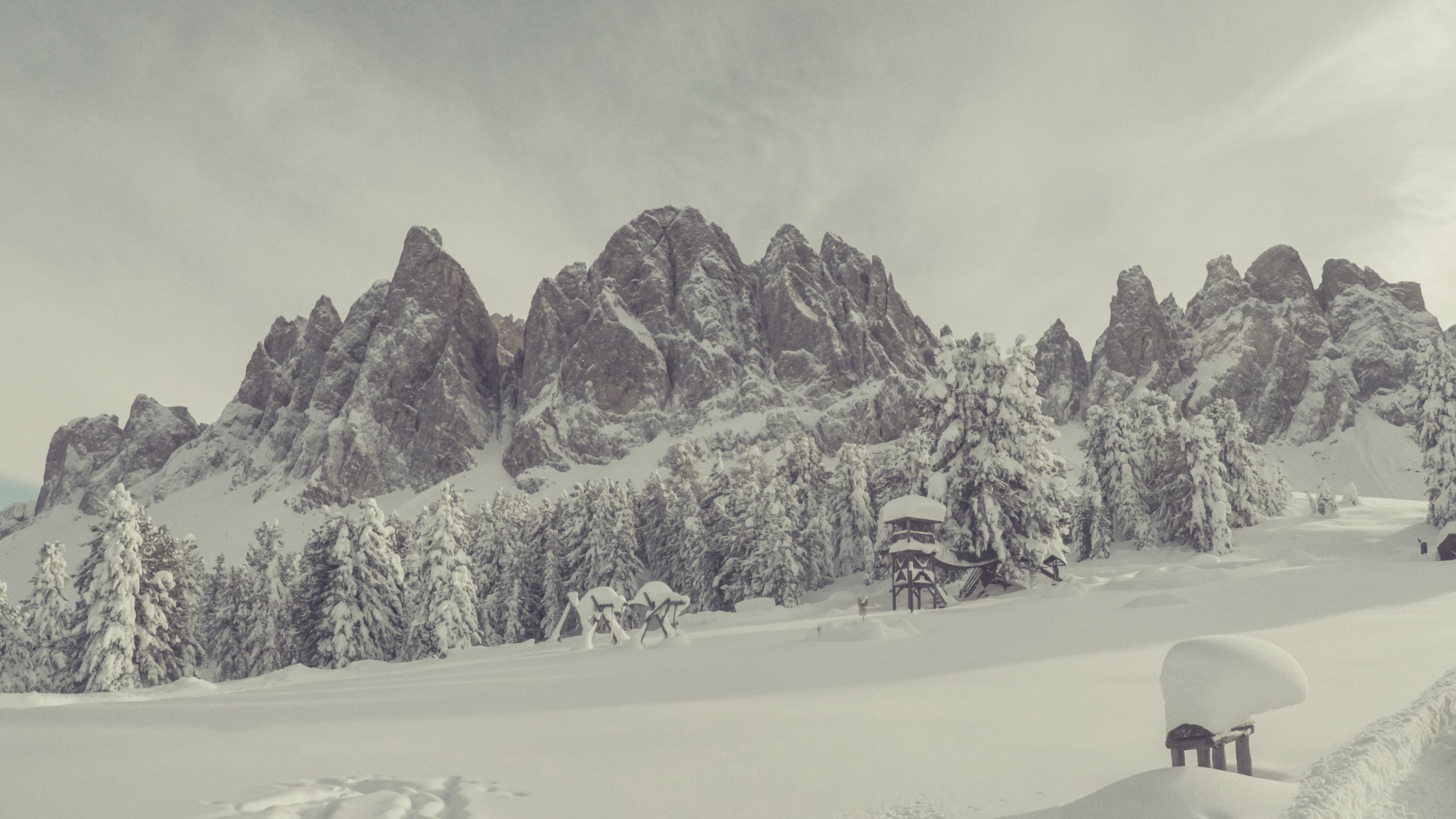 Grey Winter Day Photos, Download The BEST Free Grey Winter Day Stock ...