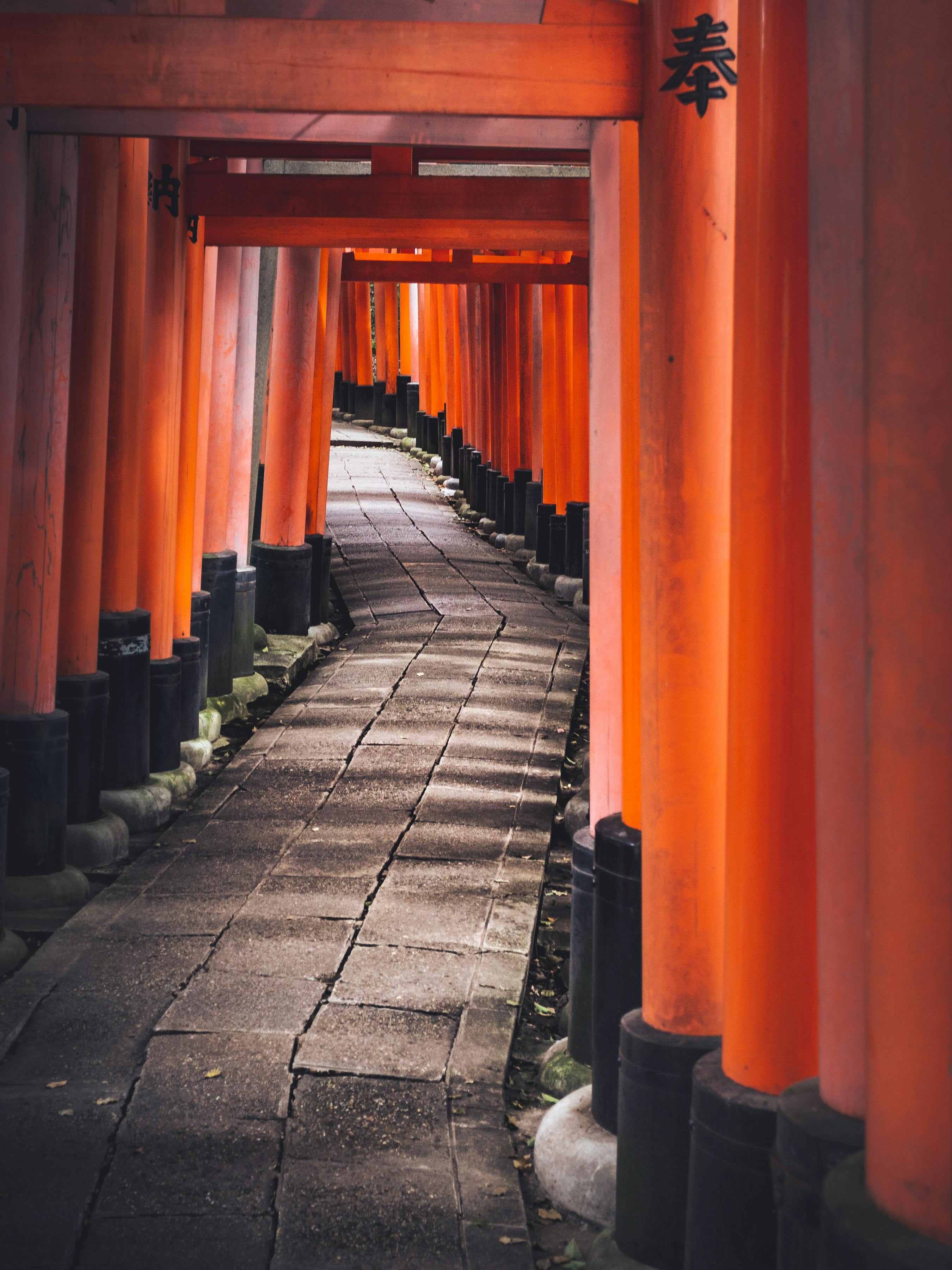 Photo of Walkway Between Shinto Shrine · Free Stock Photo