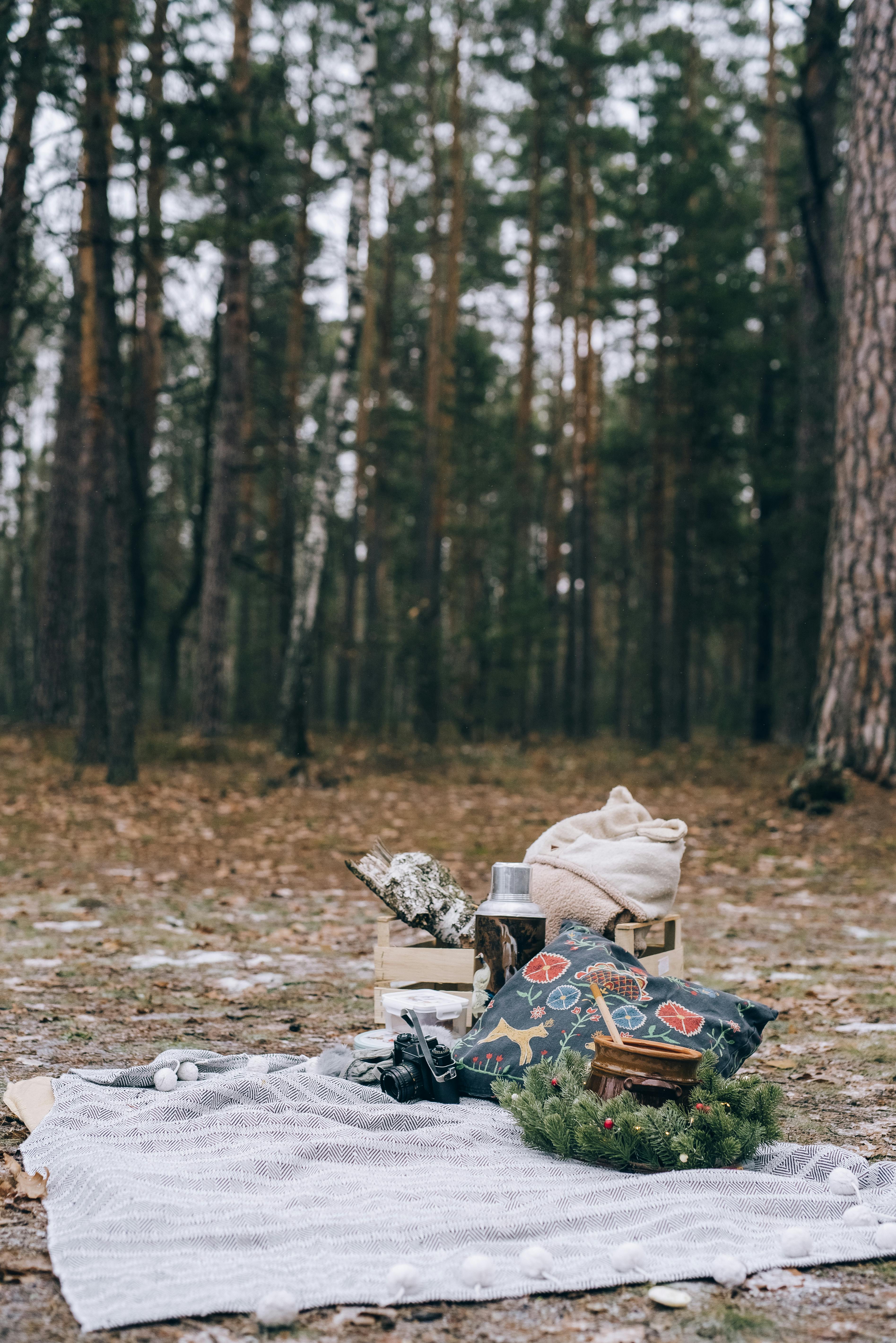 Picnic Ground Photos, Download The BEST Free Picnic Ground Stock Photos ...
