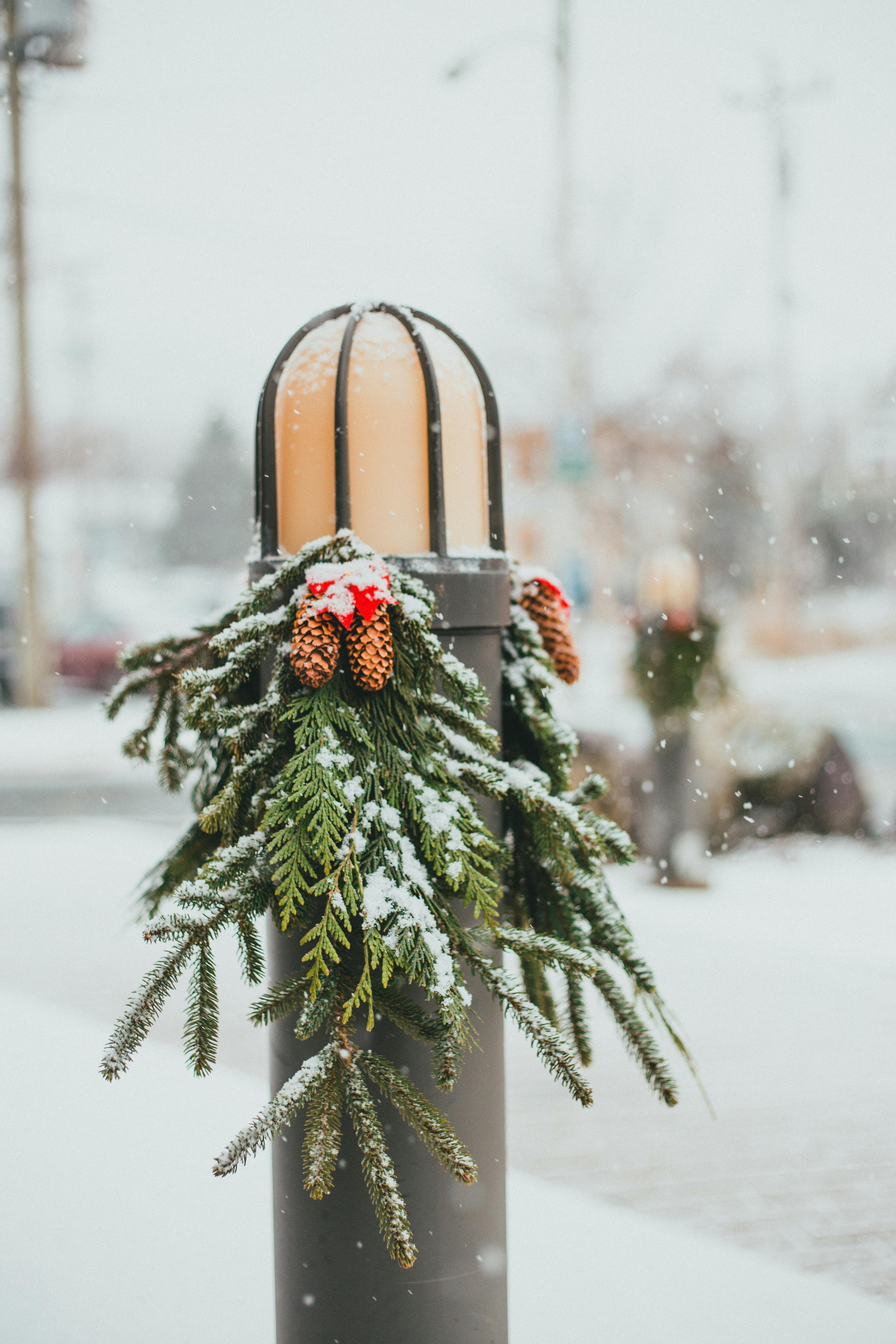 Assortment of Christmas Ornaments · Free Stock Photo