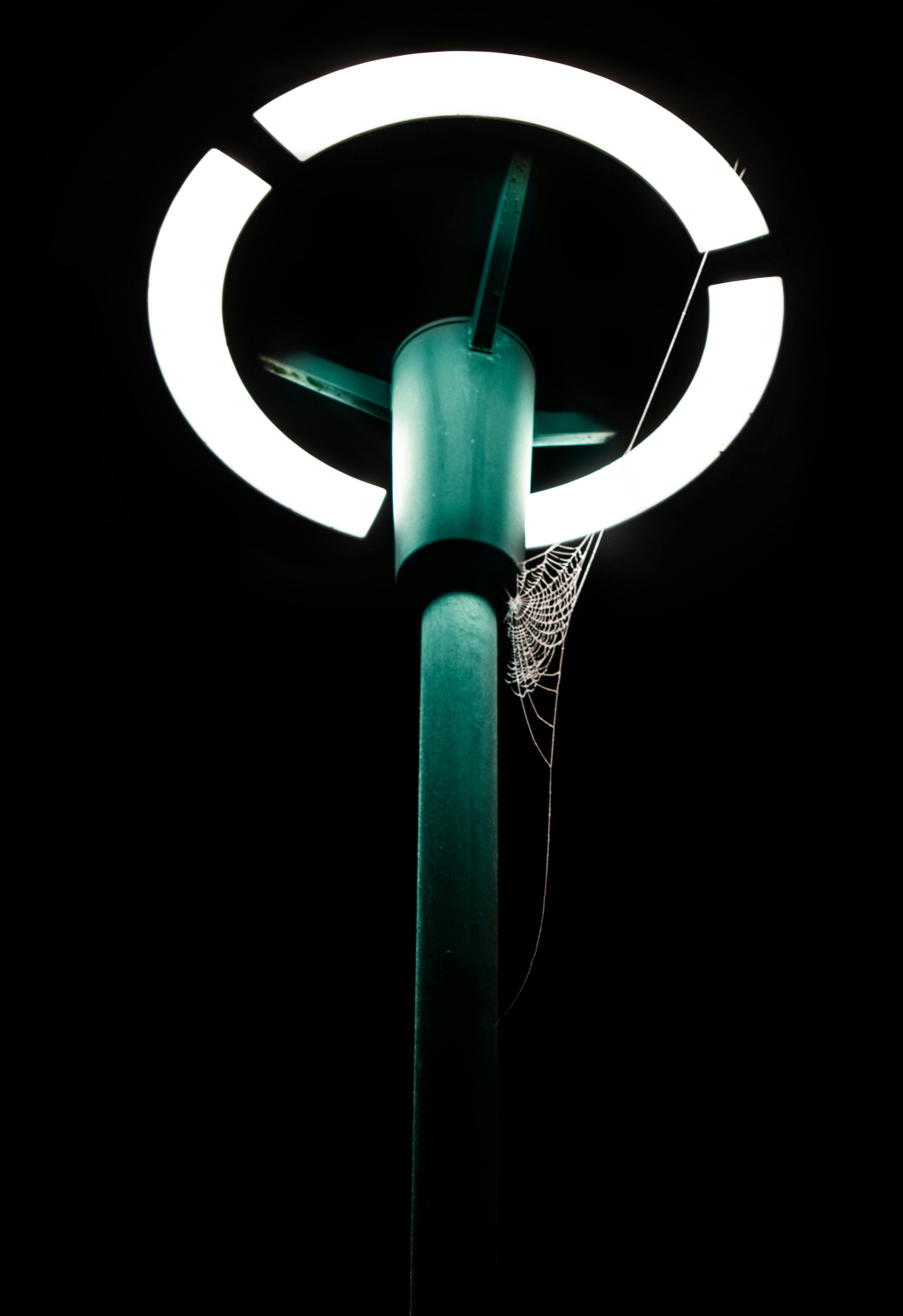 Amanda Hansson - Photography