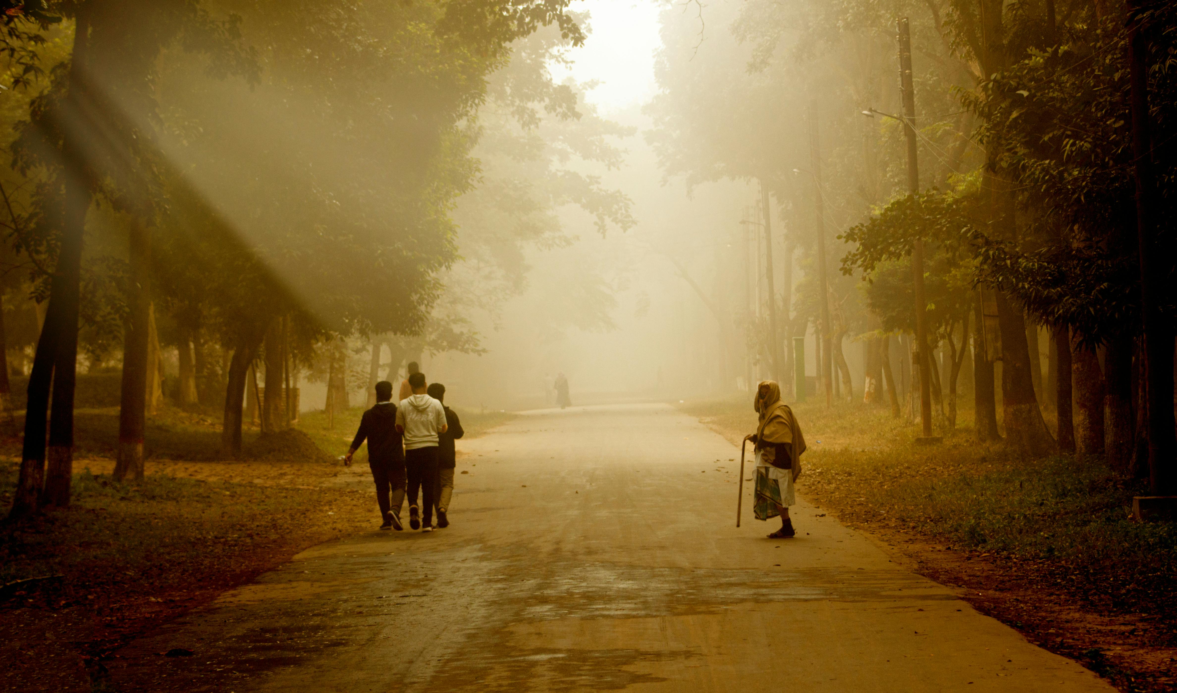 Md Sajjad Hossain - Photography