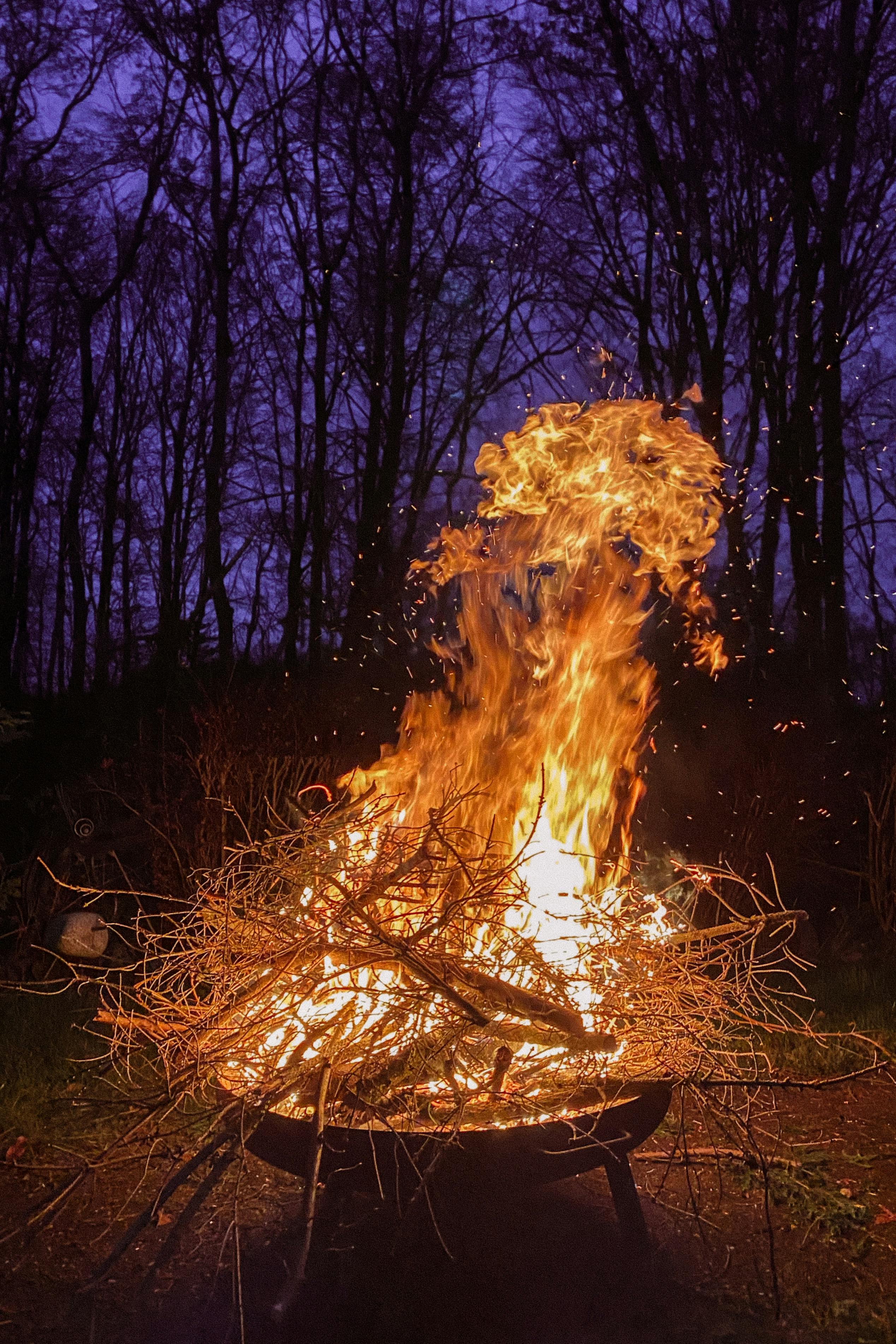 Burning Branches and People Silhouettes · Free Stock Photo