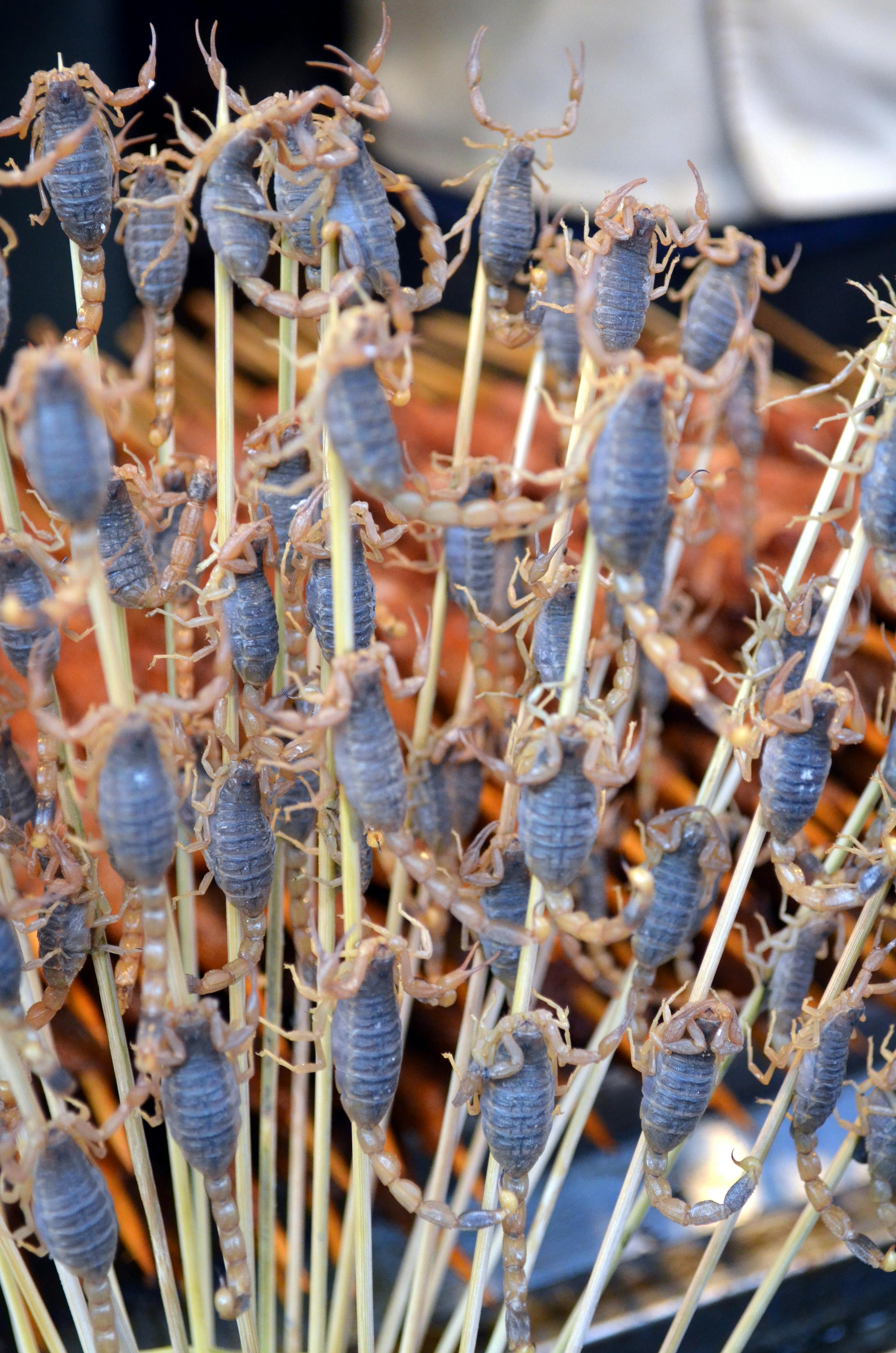 Raw Scorpions on the Sticks · Free Stock Photo